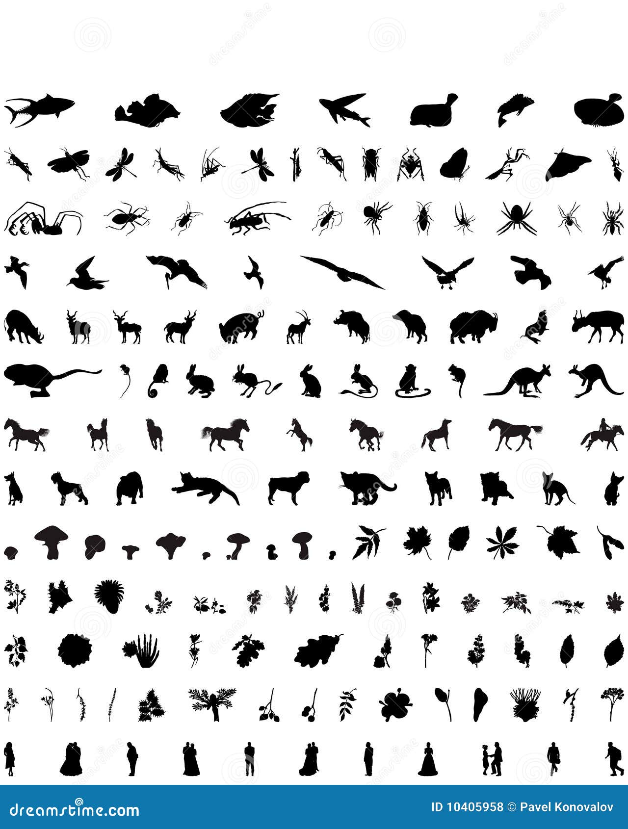 Vector Silhouettes Set. Set # 2 Stock Vector - Illustration of ...