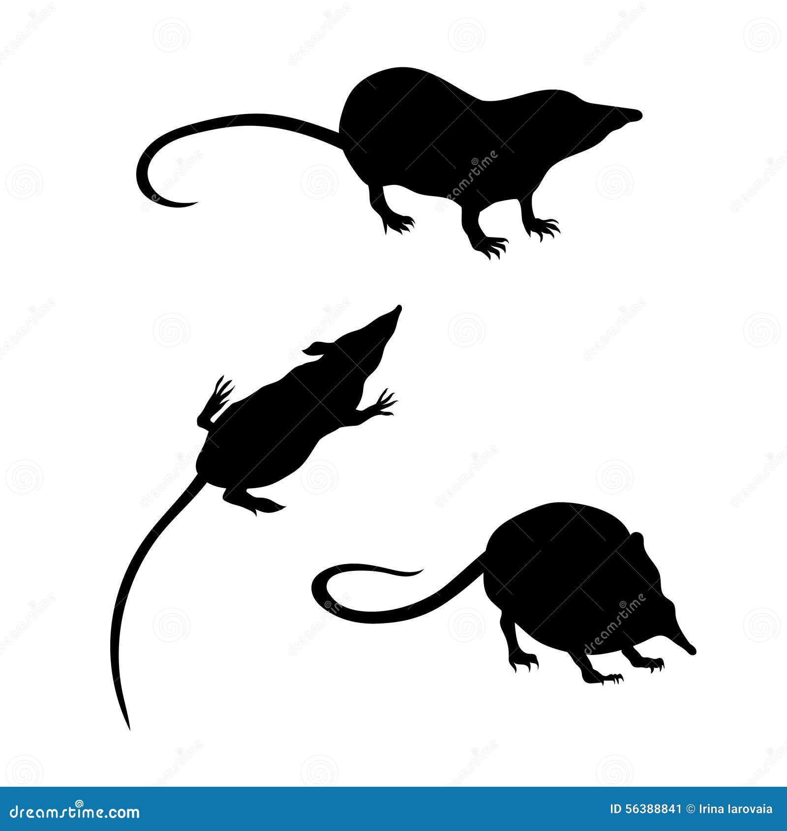 Vector Silhouettes of a Shrew Stock Vector - Illustration of background ...