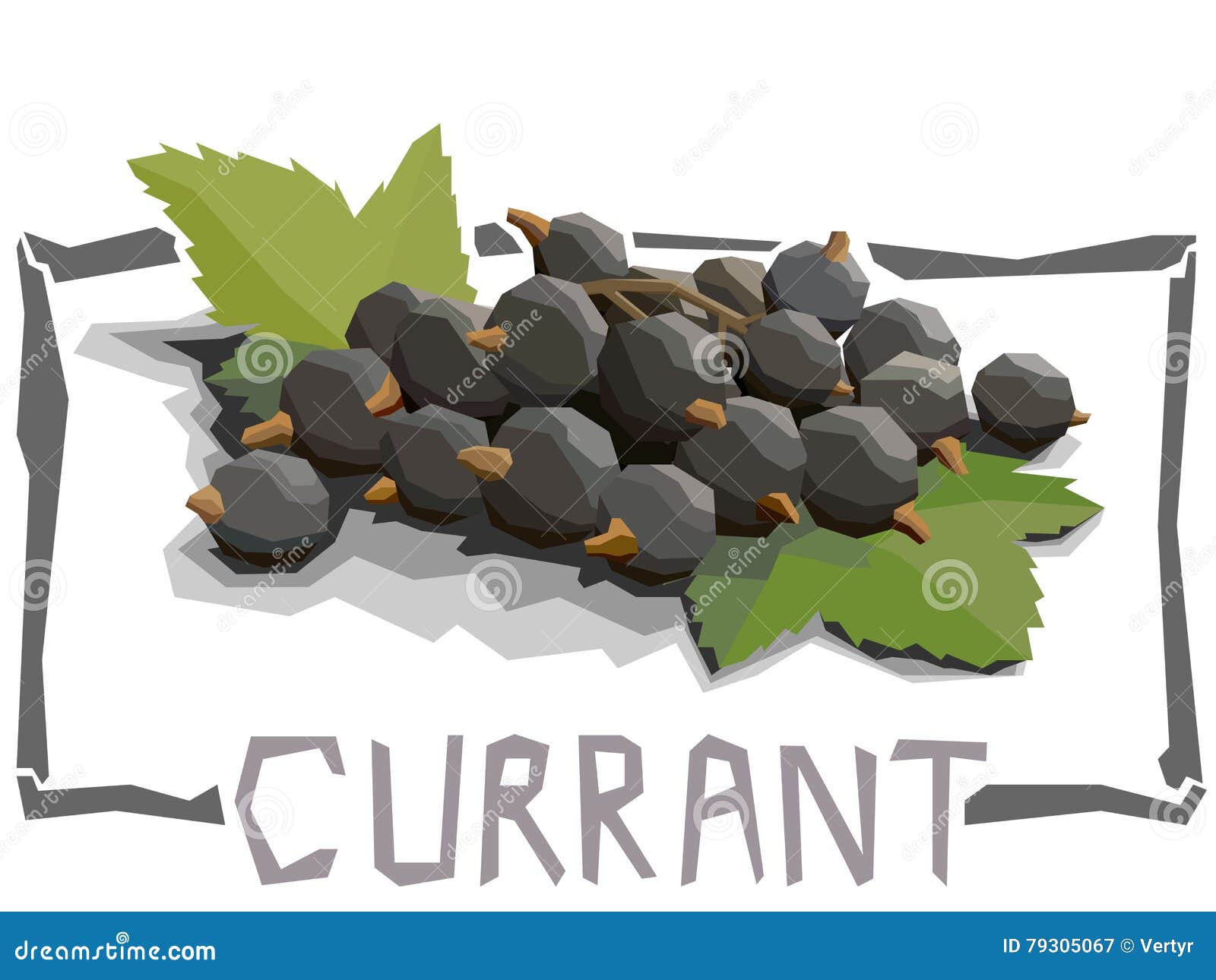 Vector Simple Illustration of Currant. Stock Vector - Illustration of ...