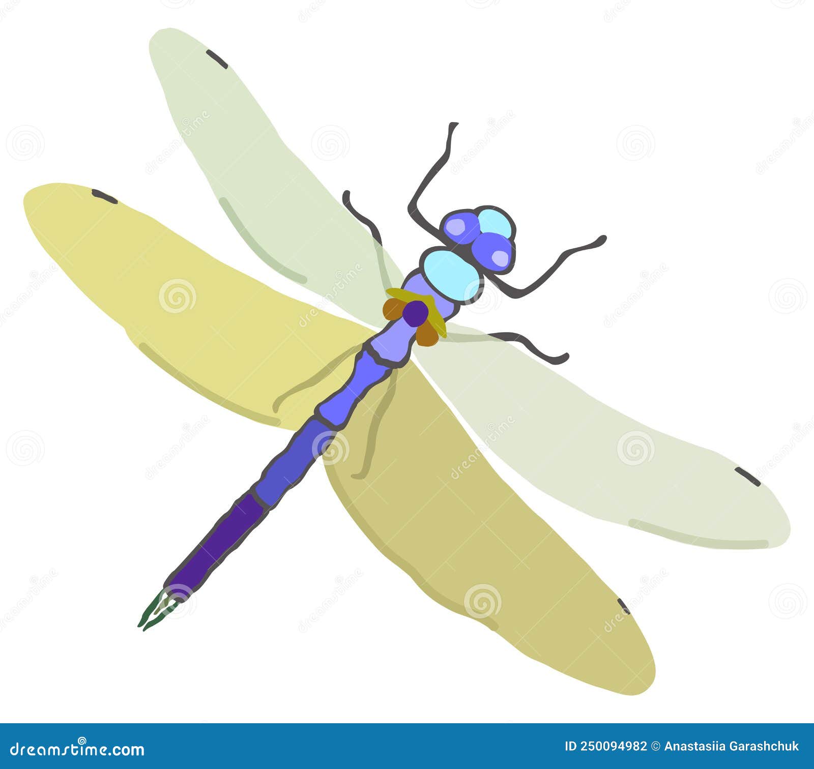 Vector Isolated Simple Illustration of Dragonfly. Stock Vector ...