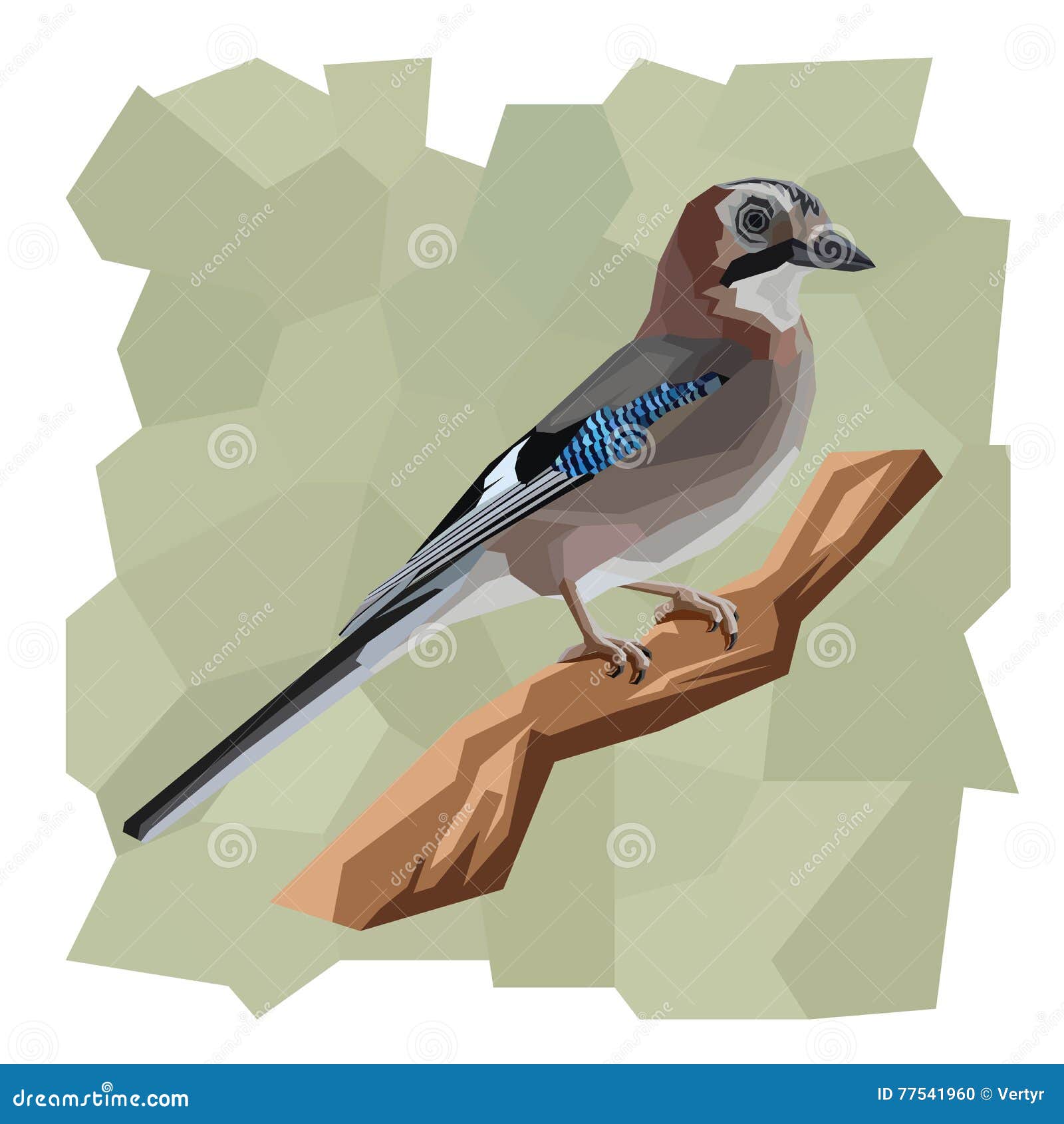 Vector Simple Illustration of Jay Bird. Stock Vector - Illustration of ...