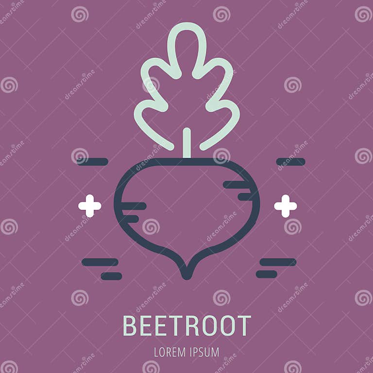 Vector Simple Logo Template Beetroot Stock Illustration - Illustration ...