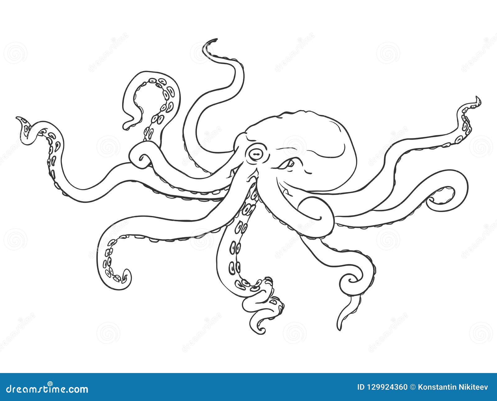 Vector Single Black Outline Illustration - Octopus. Wild Underwater ...