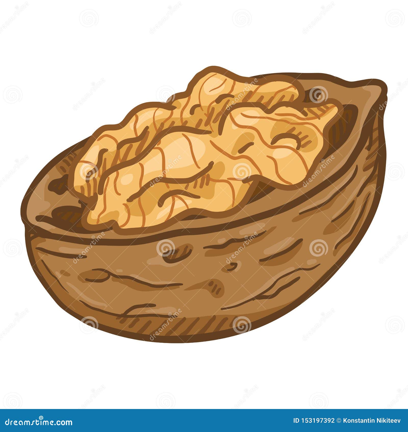 Vector Single Cartoon Walnut in Peel Stock Vector - Illustration of ...