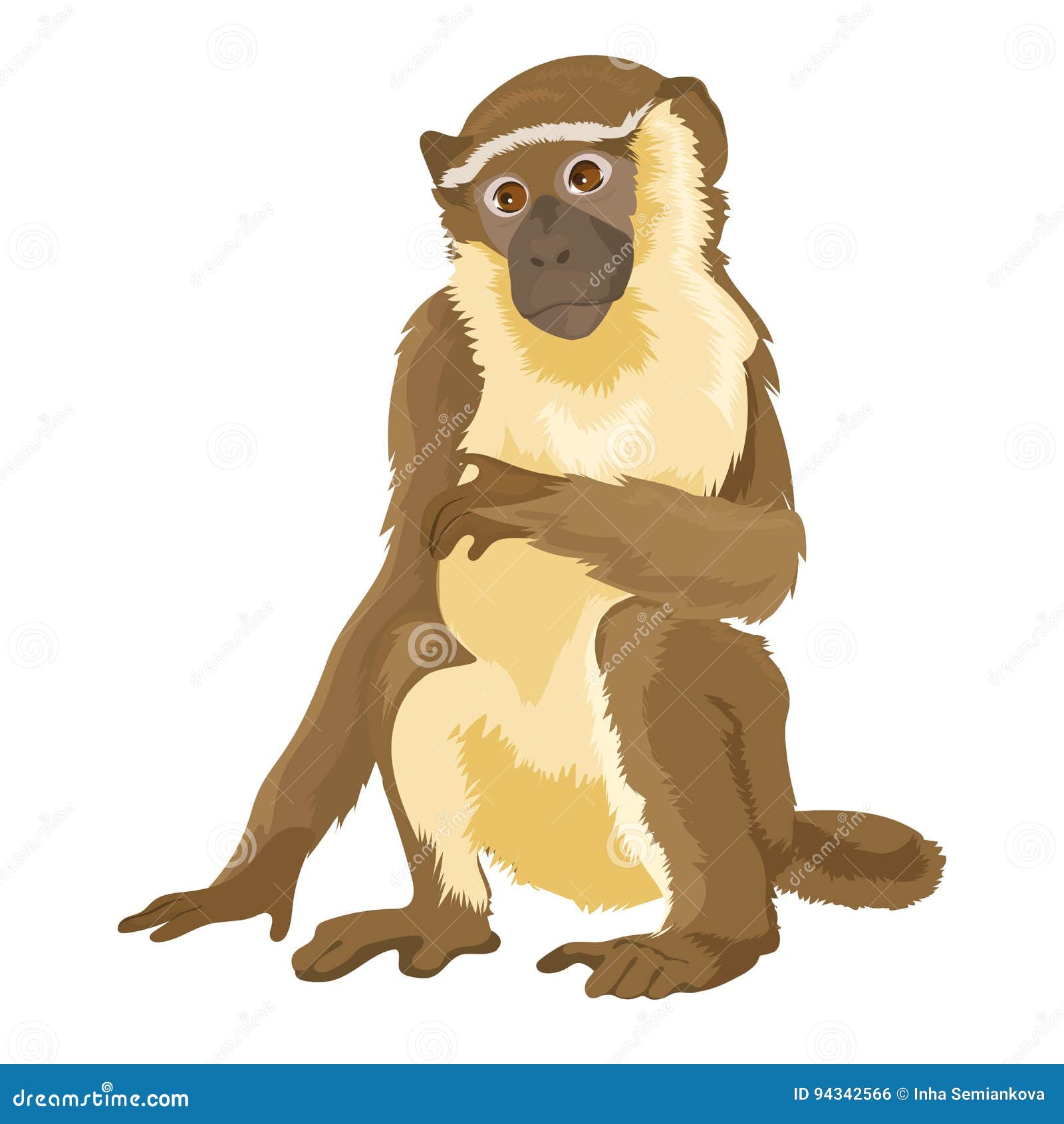 Vector Sitting Monkey Isolated Stock Vector - Illustration of wildlife ...