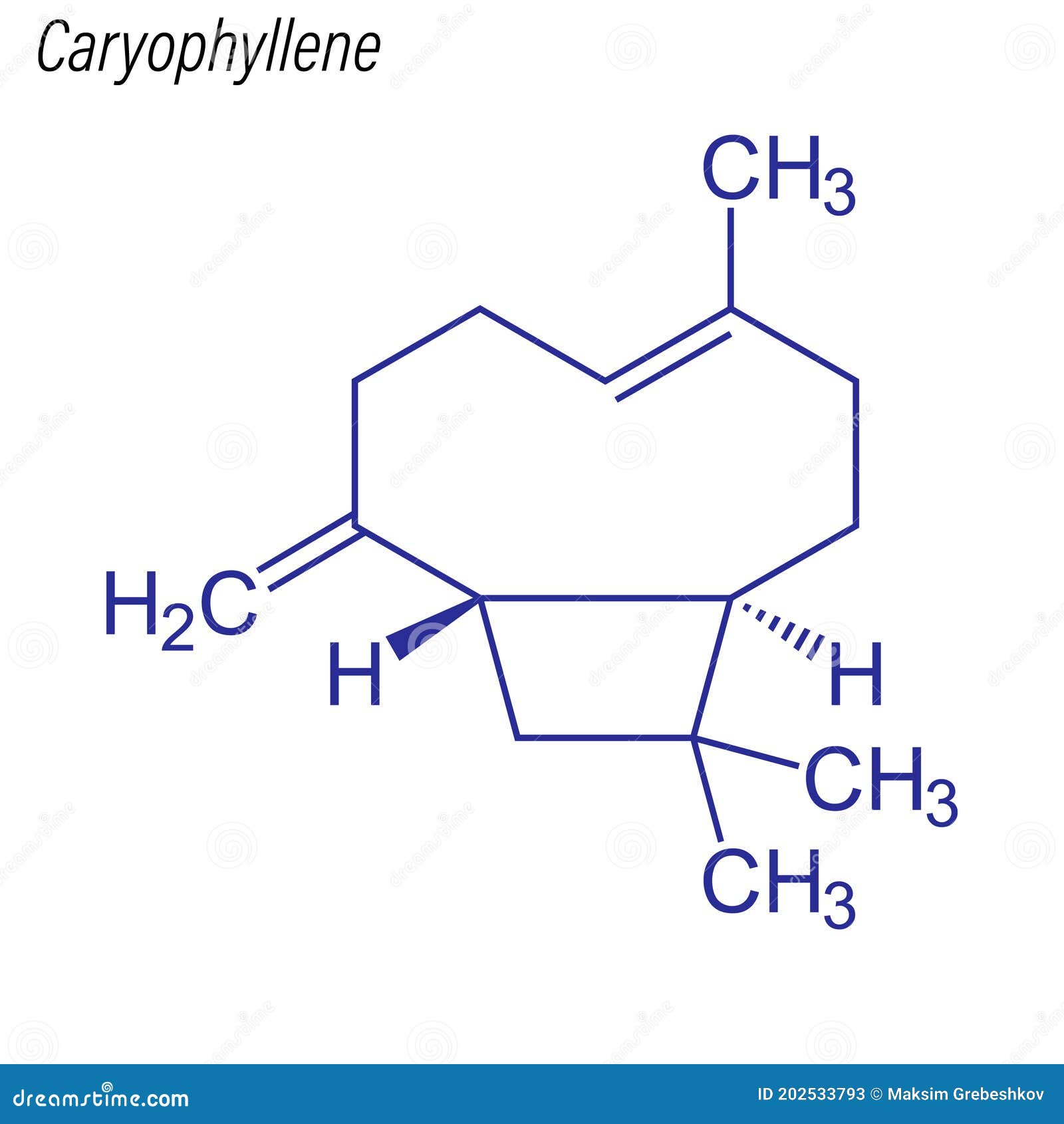 Vector Skeletal Formula of Caryophyllene. Drug Chemical Molecule Stock ...