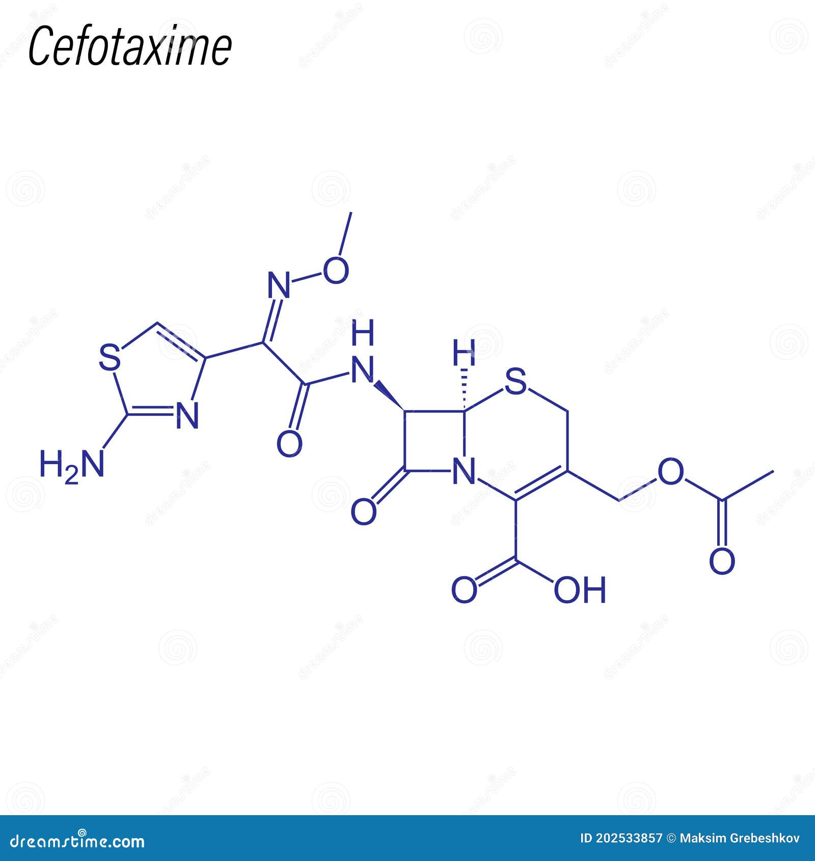 Vector Skeletal Formula of Cefotaxime. Drug Chemical Molecule Stock ...