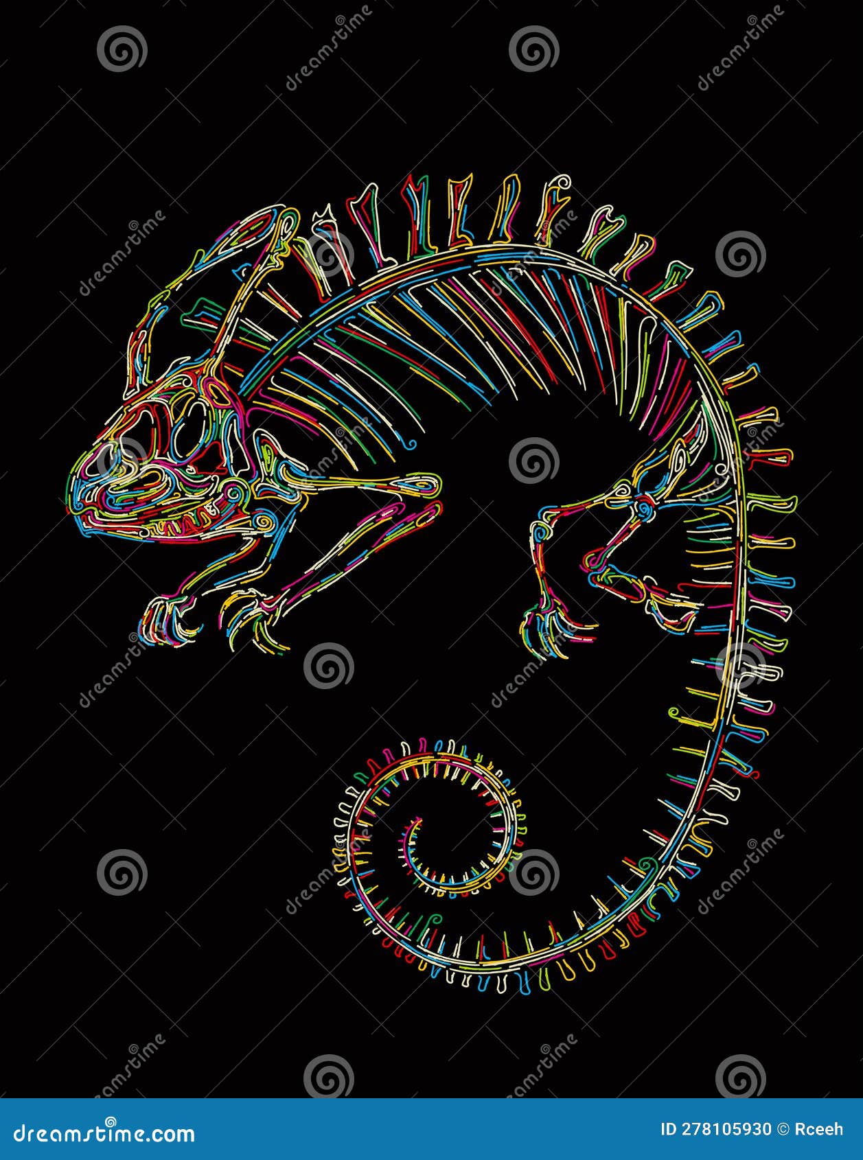 Colored Chameleon skeleton stock vector. Illustration of vector - 278105930