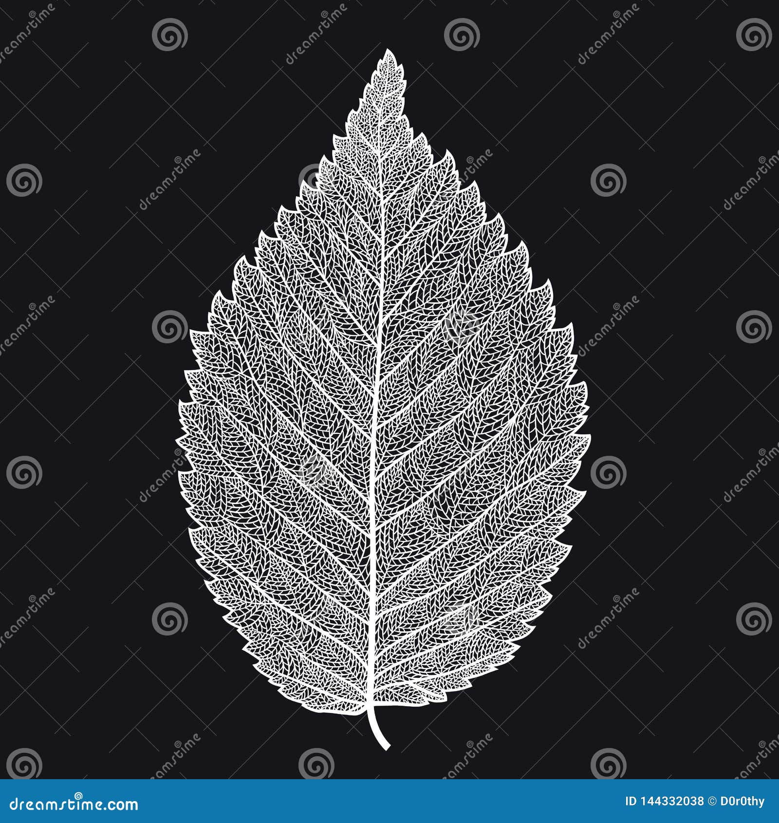 Vector Set Of Skeletonized Leaves On A Black Background | CartoonDealer ...