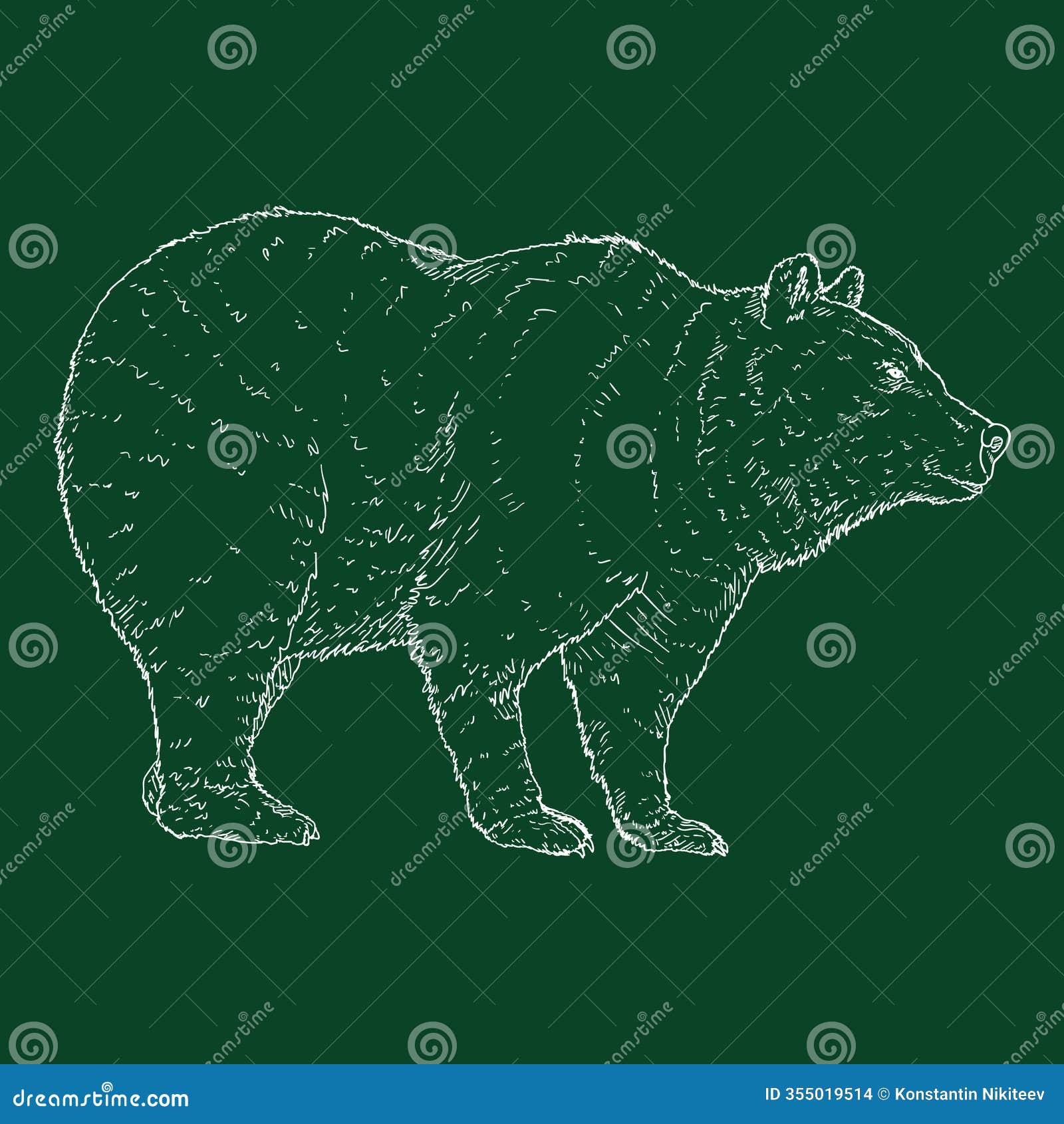 Vector Sketch Bear. Side View Hand Drawn Illustration Stock ...