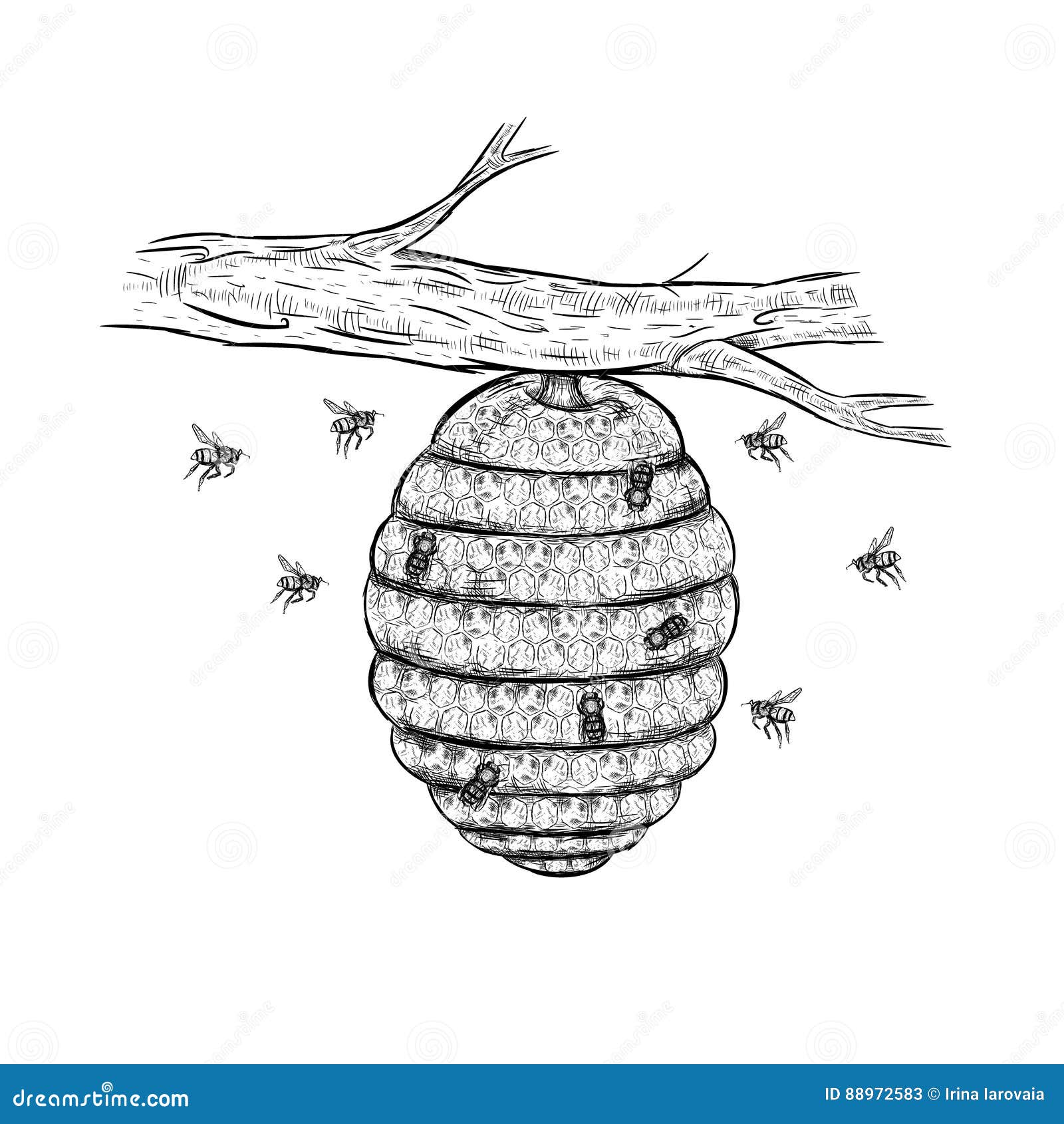 Vector sketch of beehive stock vector. Illustration of artwork - 88972583 Vector sketch of beehive stock vector. Illustration of artwork - 88972583