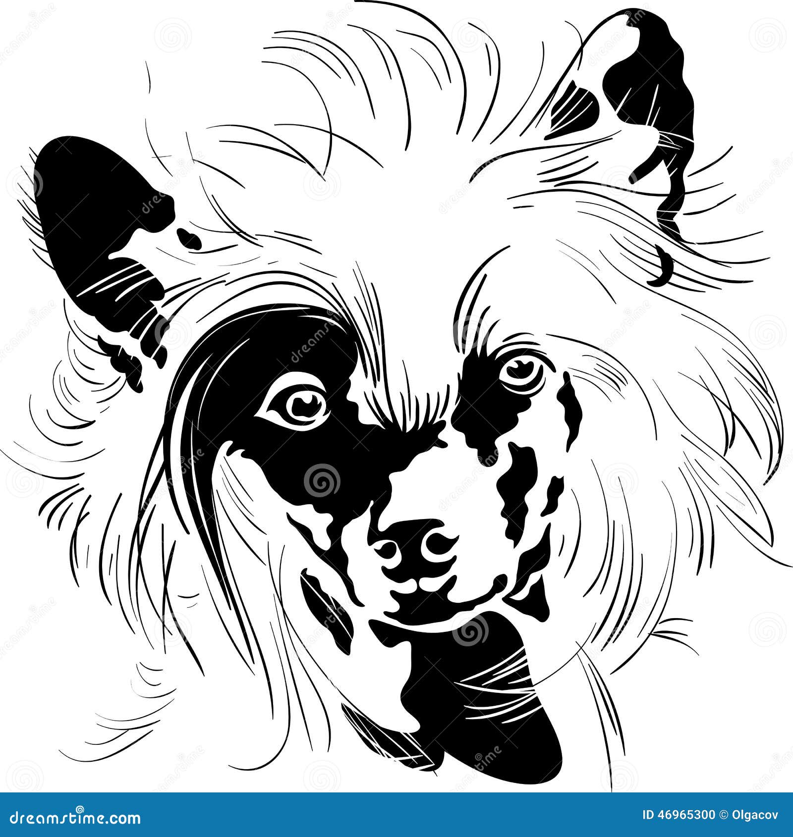 Chinese Crested Dog Easy Coloring Cartoon Vector Illustration. Isolated ...