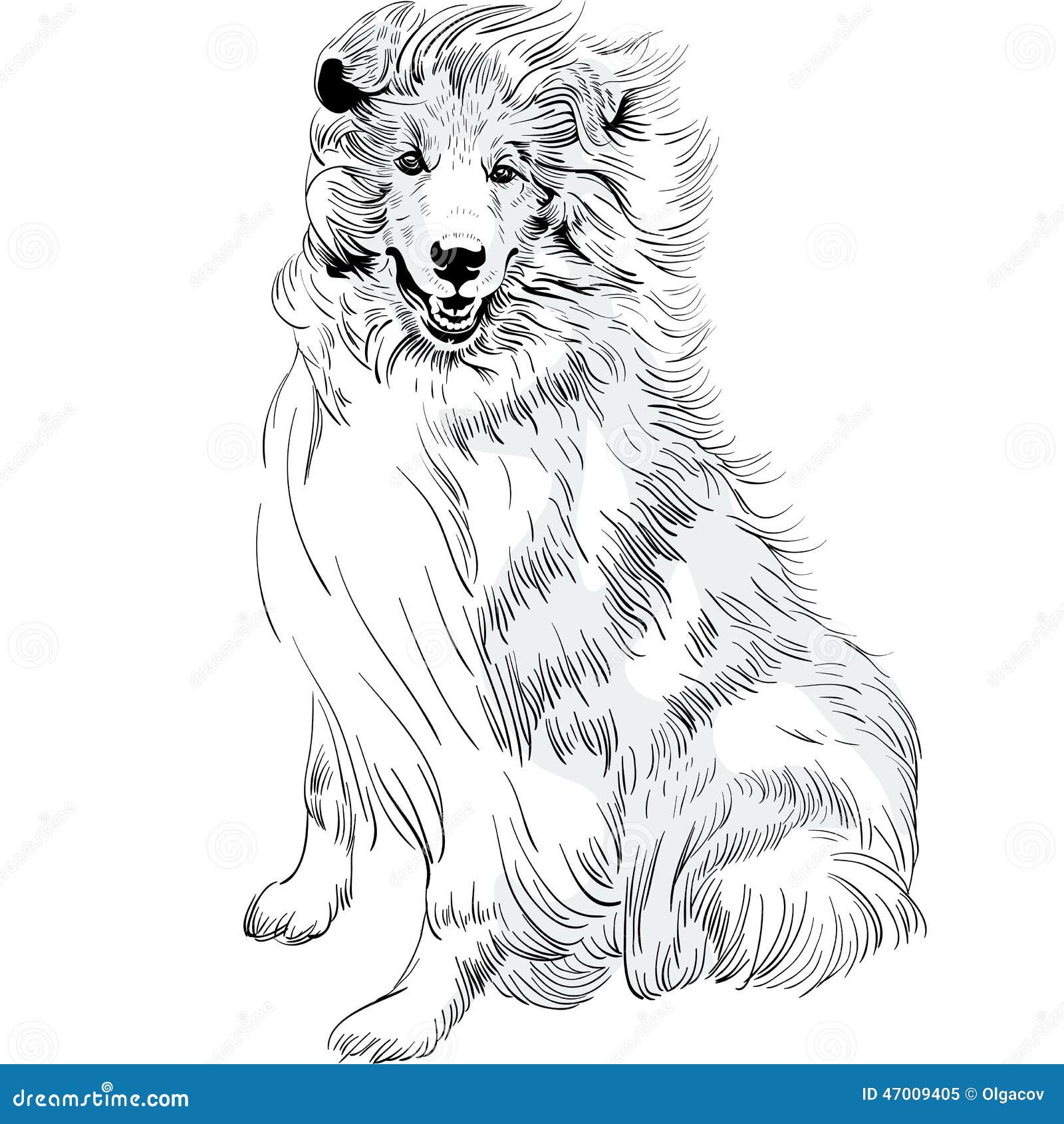Vector Sketch Dog Rough Collie Breed Hand Drawing Vector Stock Vector ...