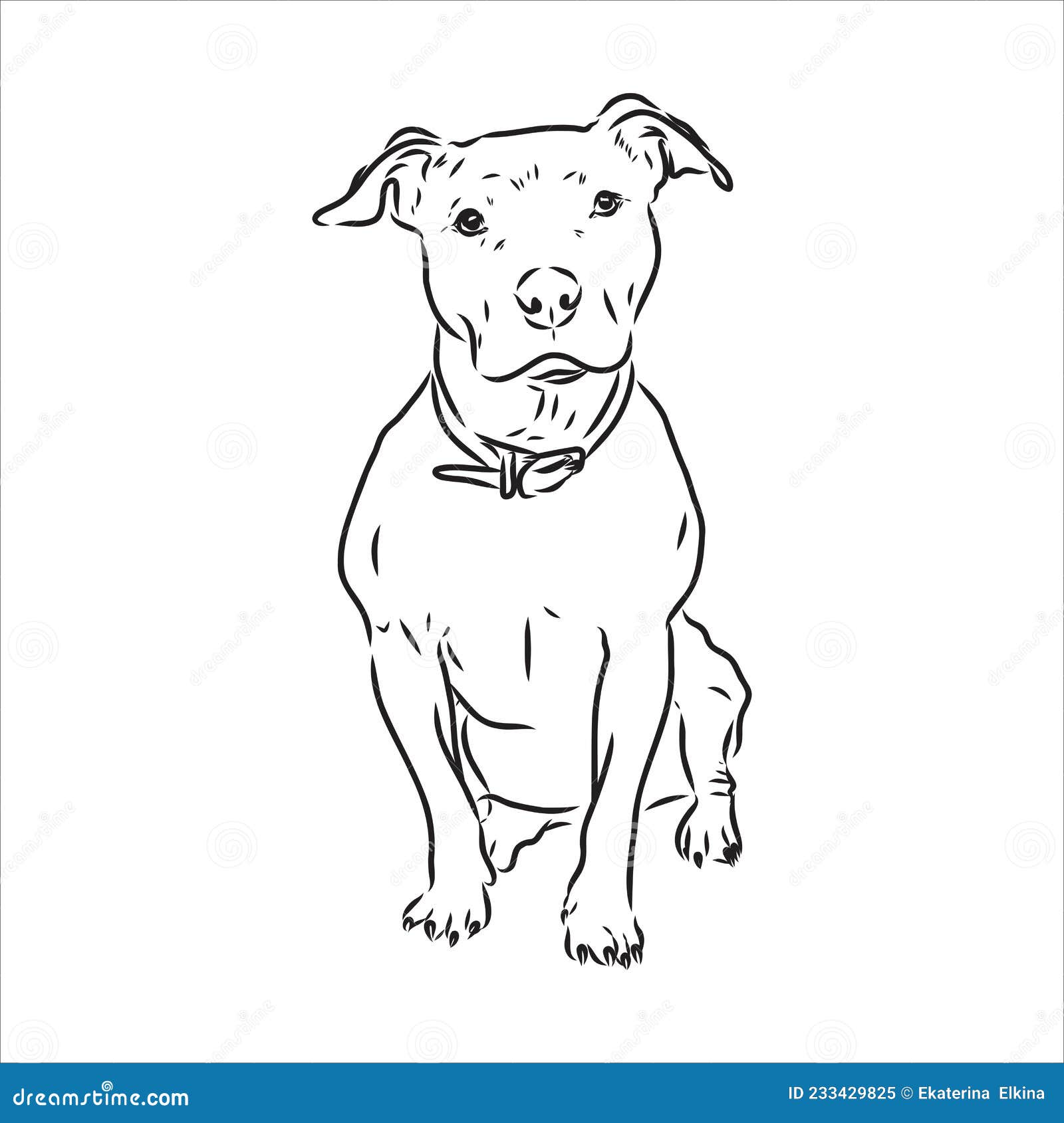 Vector Sketch Drawing Pitbull Barking Pit Bull Terrier Dog Vector ...