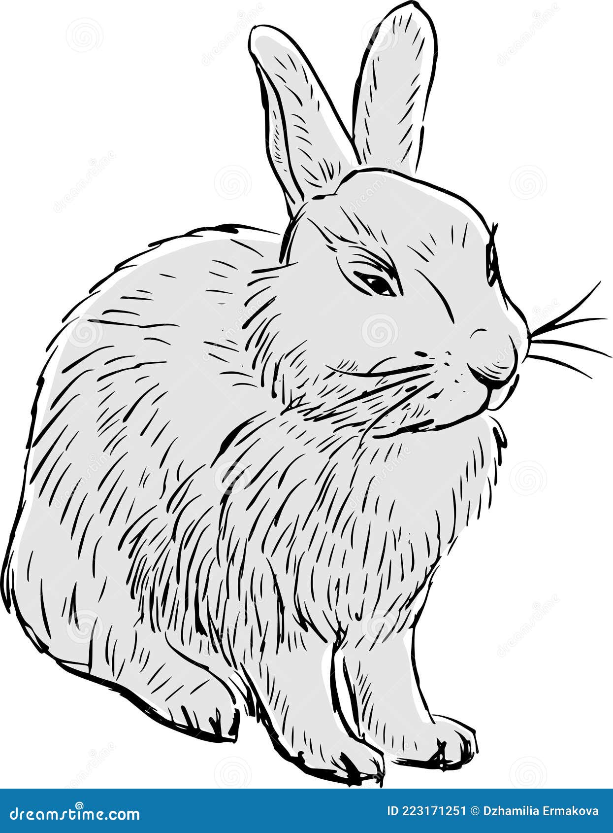 Freehand Drawing of Fluffy Cute Grey Rabbit Stock Vector - Illustration ...
