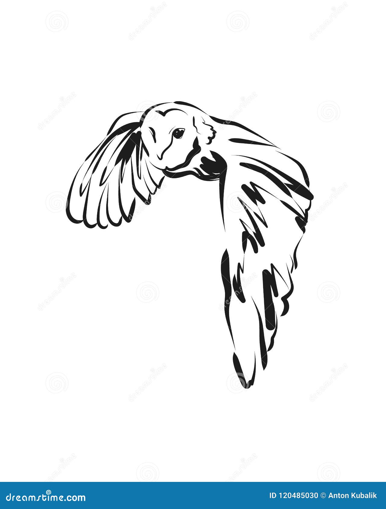 Vector sketch flying owl stock vector. Illustration of view - 120485030