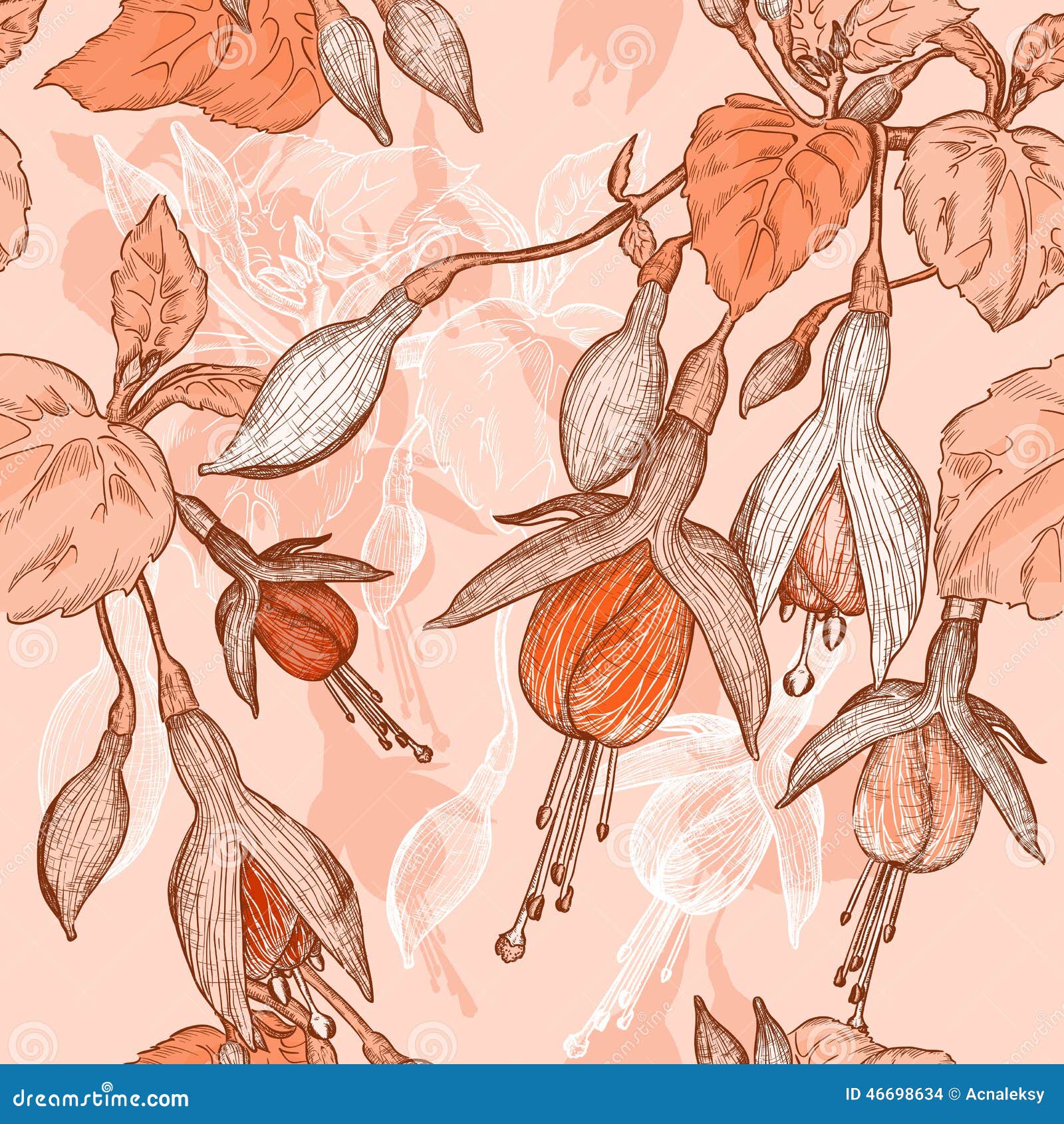 Vector Sketch of Fuchsia Flowers Stock Vector - Illustration of ...