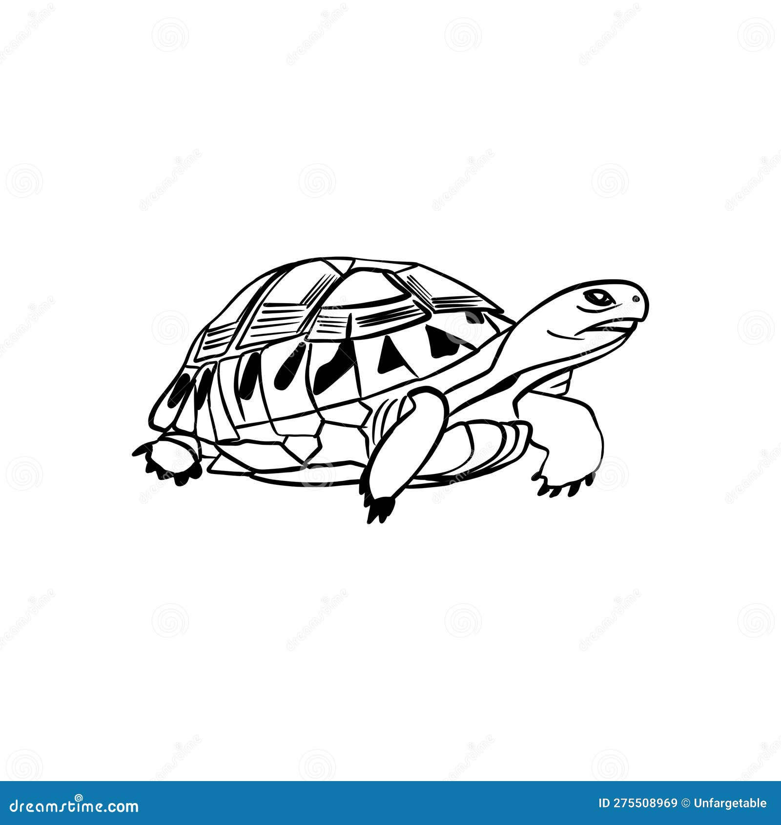 Vector Sketch Hand Drawn Turtle Silhouette, Doodle Style with Black ...