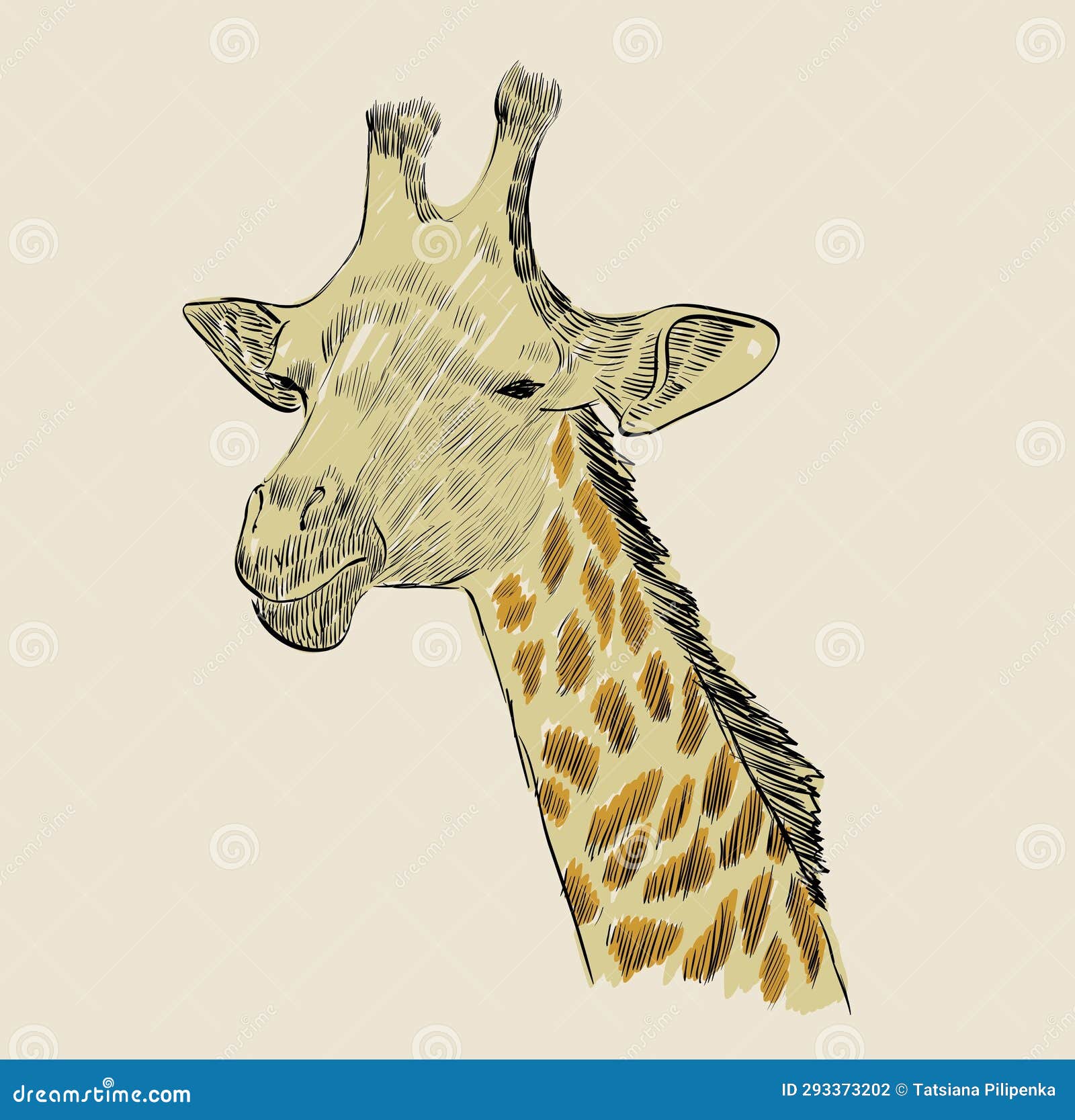 Sketch of giraffe stock illustration. Illustration of african - 293373202