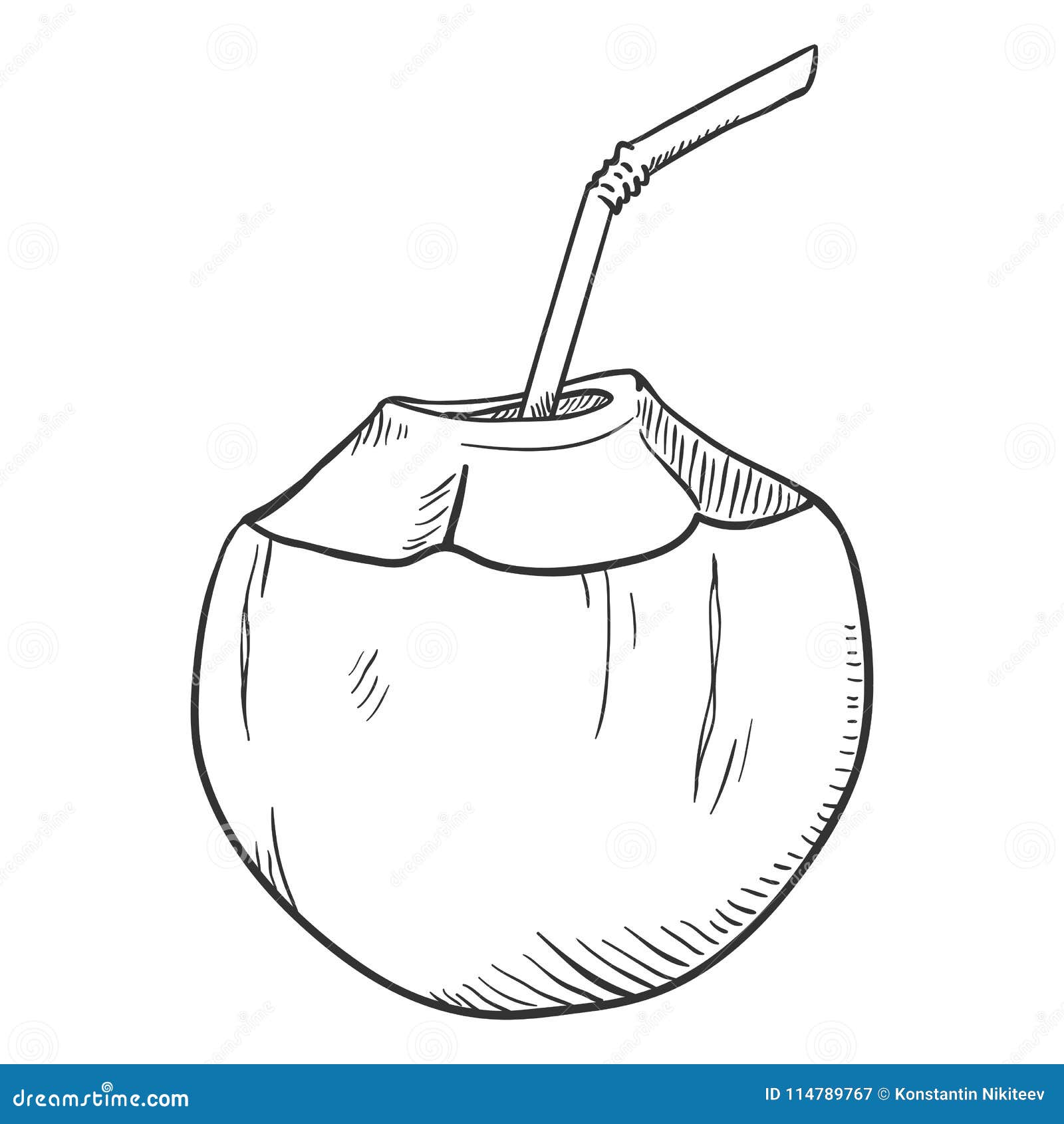 Vector Sketch Illustration - Coconut Cocktail Stock Vector ...