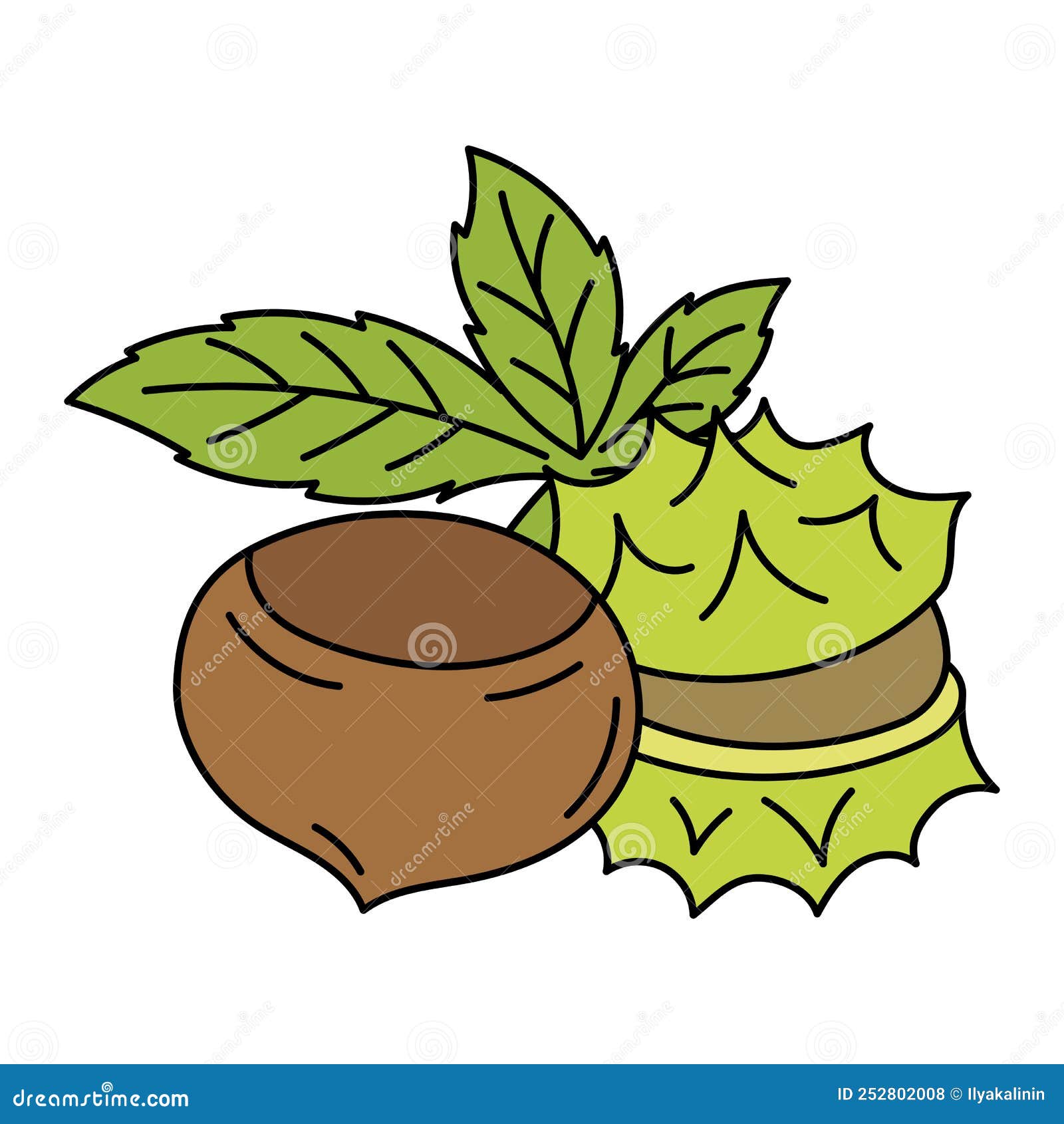 The Chestnuts. Cooking Ingredient. Vector Illustration. Stock ...