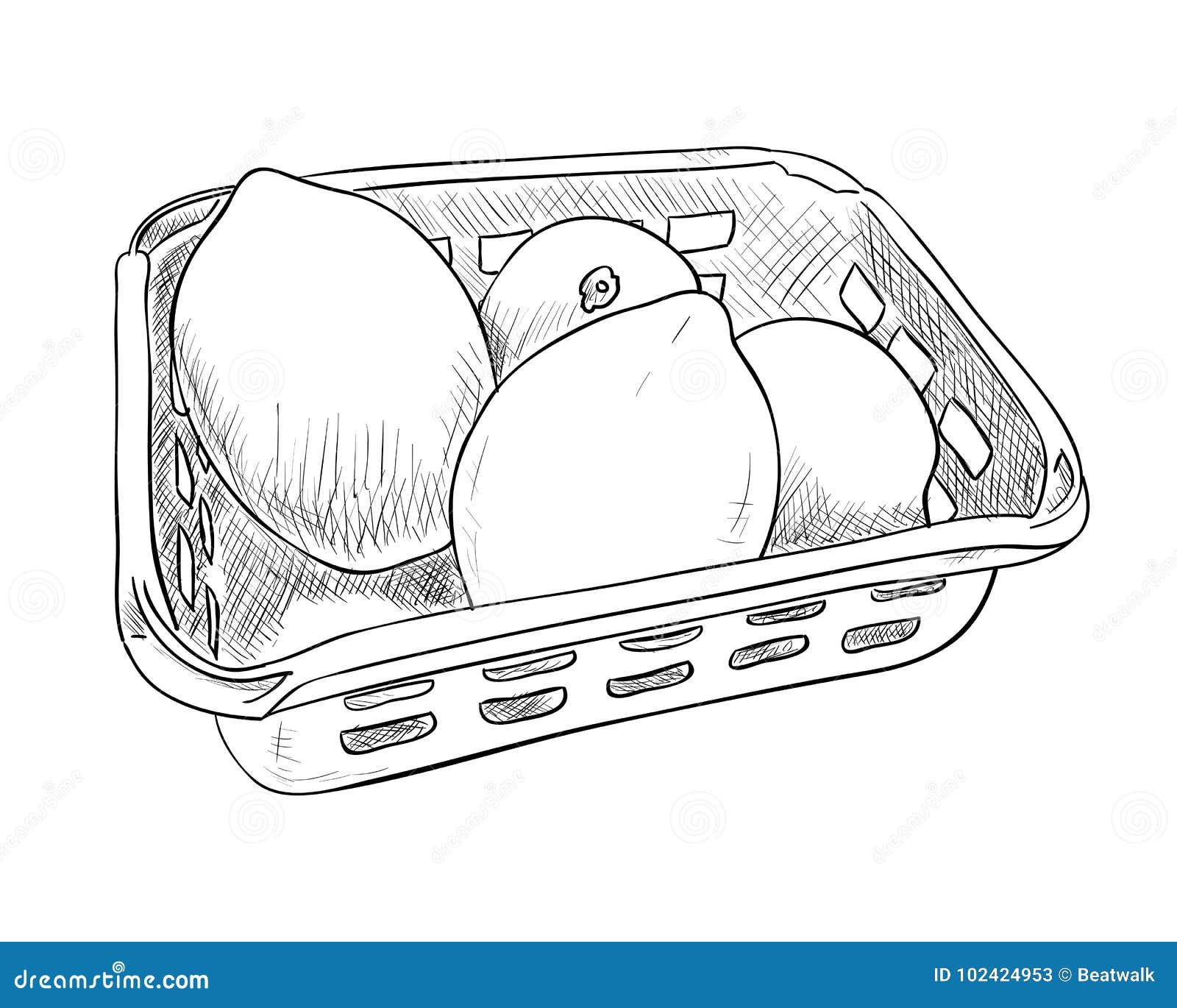 Vector Sketch of Plastic Container with Lemons. Stock Vector ...