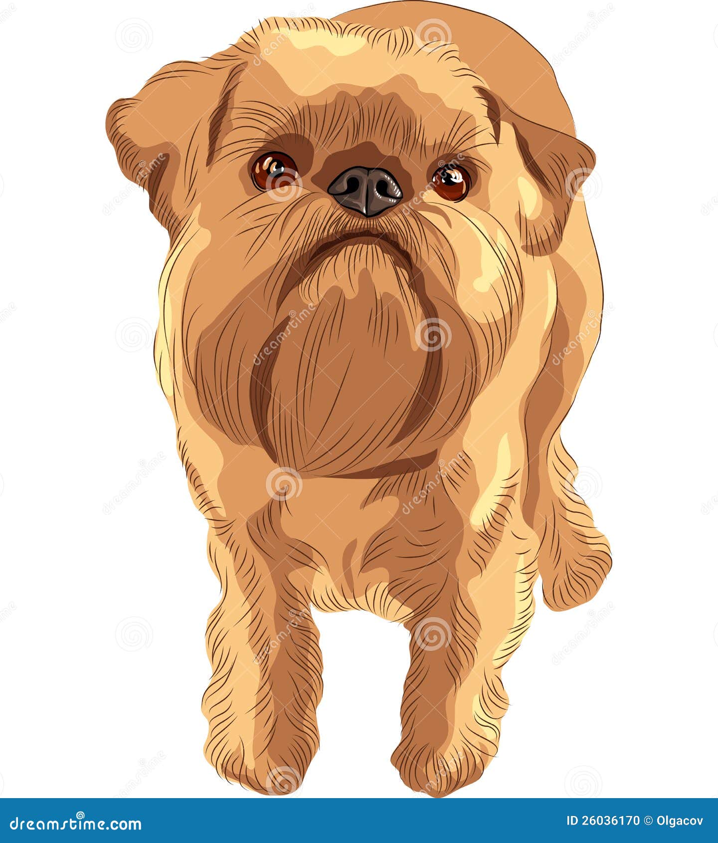 Brussels Griffon Dog Breed Cartoon Retro Drawing Stock Photo ...