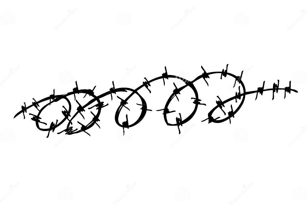 Vector Sketch of Seam Curl Barbed Wire Stock Vector - Illustration of ...