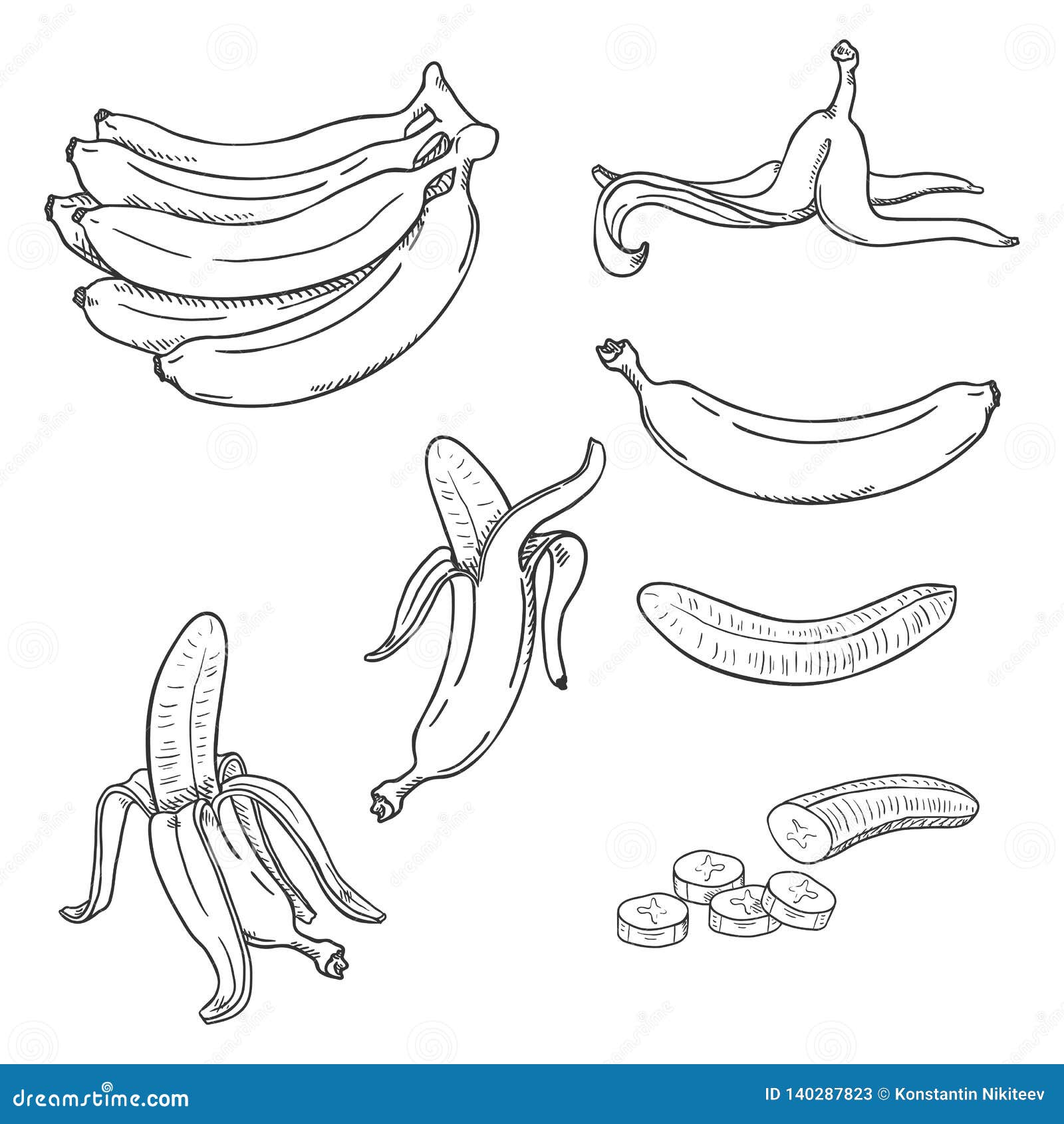 Vector Sketch Set of Various Banana Illustrations Stock Vector ...