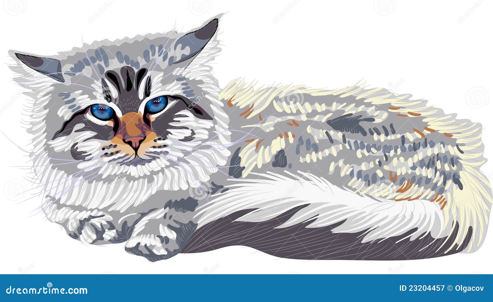 Vector Sketch Siberian Cat Color-point (Neva Masqu | CartoonDealer.com ...