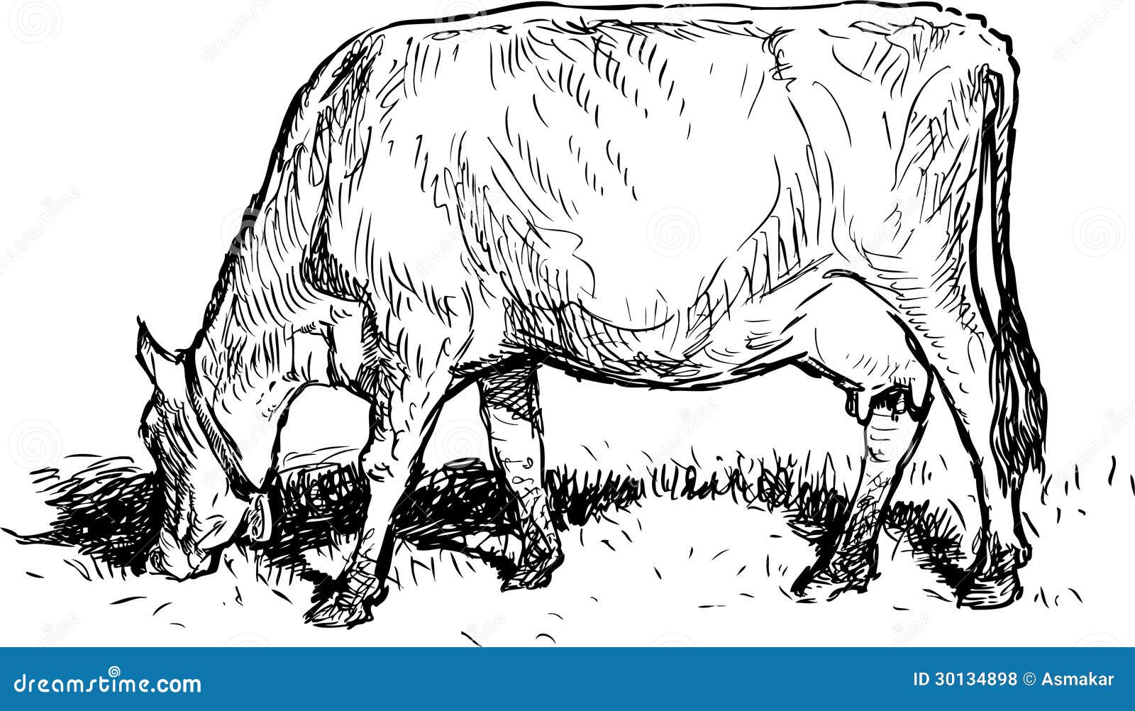 Grazing cow stock vector. Illustration of drawing, farm - 30134898
