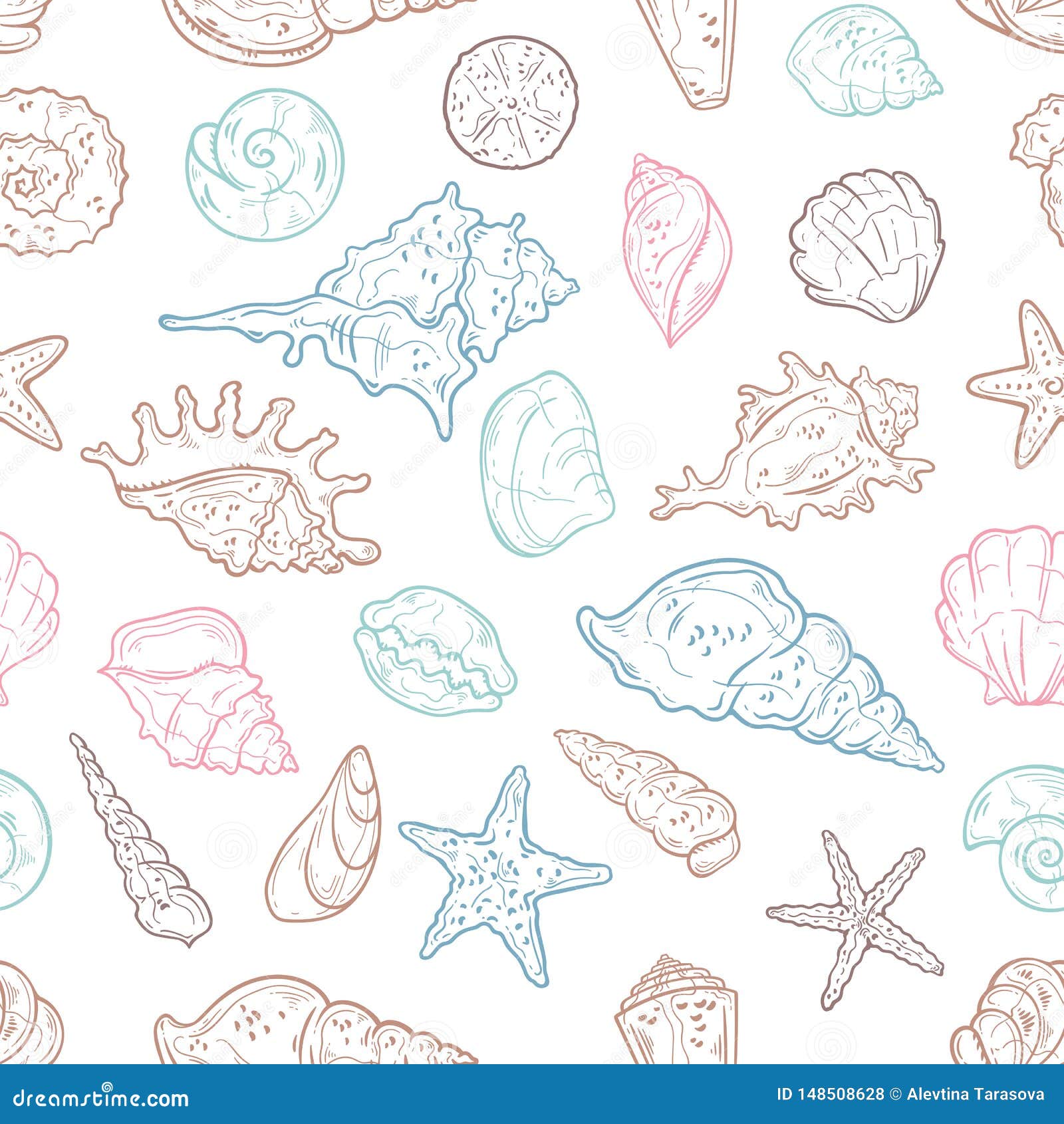Vector Sketching Illustrations. Different Types of Seashells Stock ...