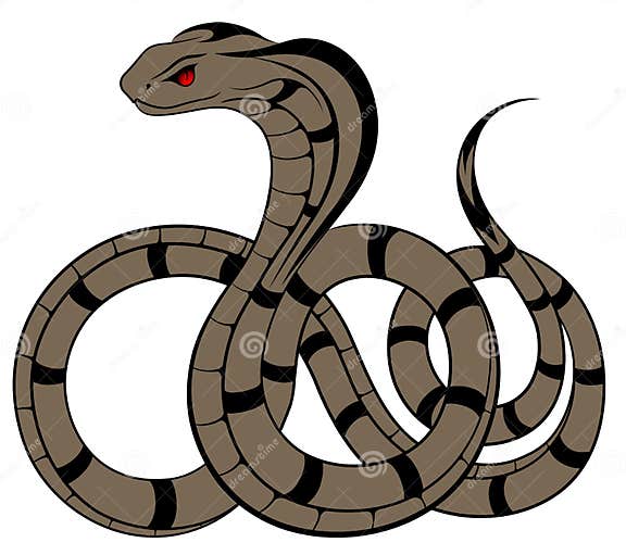 Vector Slang, Cobra vector illustratie. Illustration of hoektand - 26986792