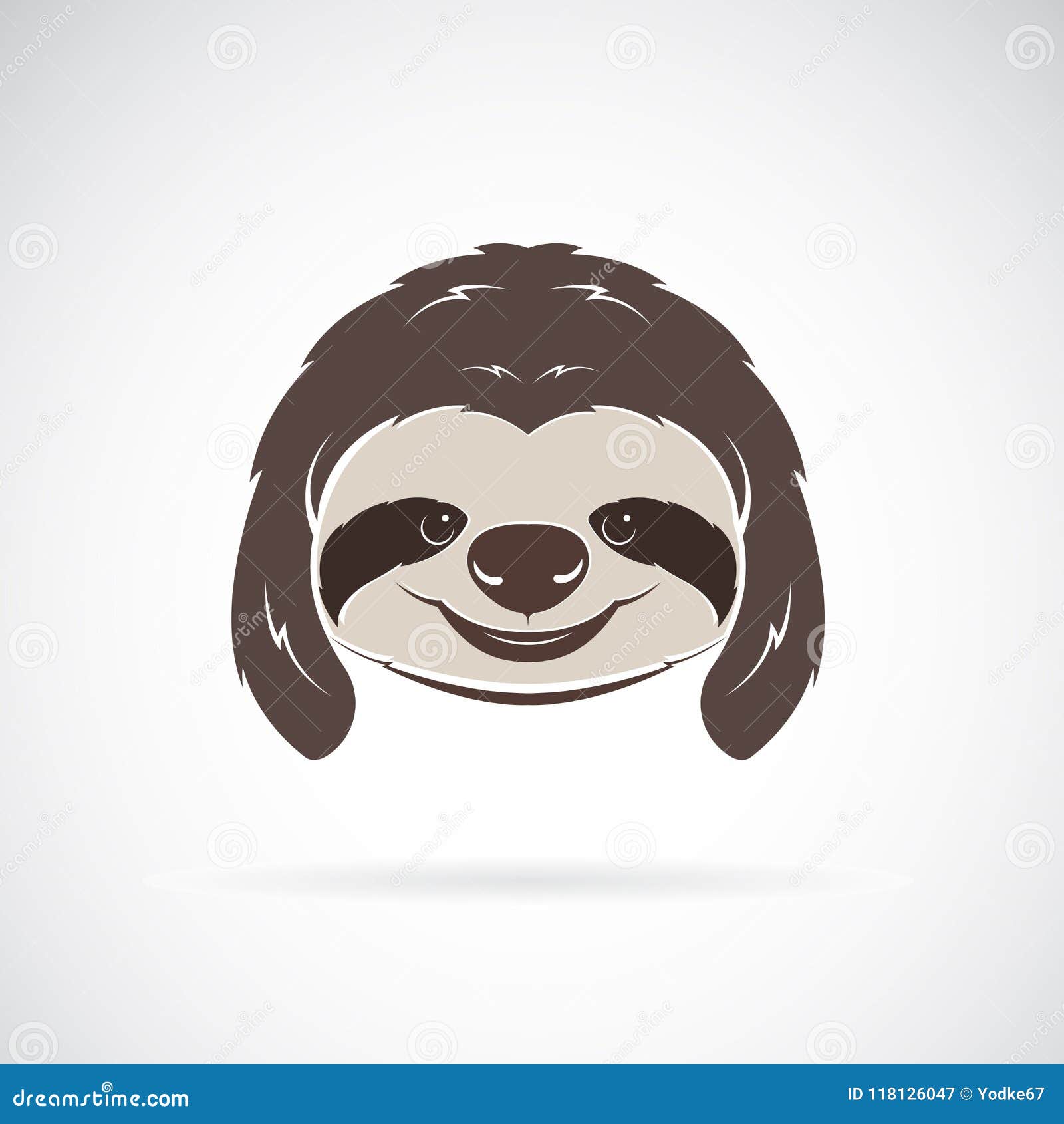 Sloth. Head, Face, Portrait. Gray Fur. Cartoon Style. Animal Smiles ...
