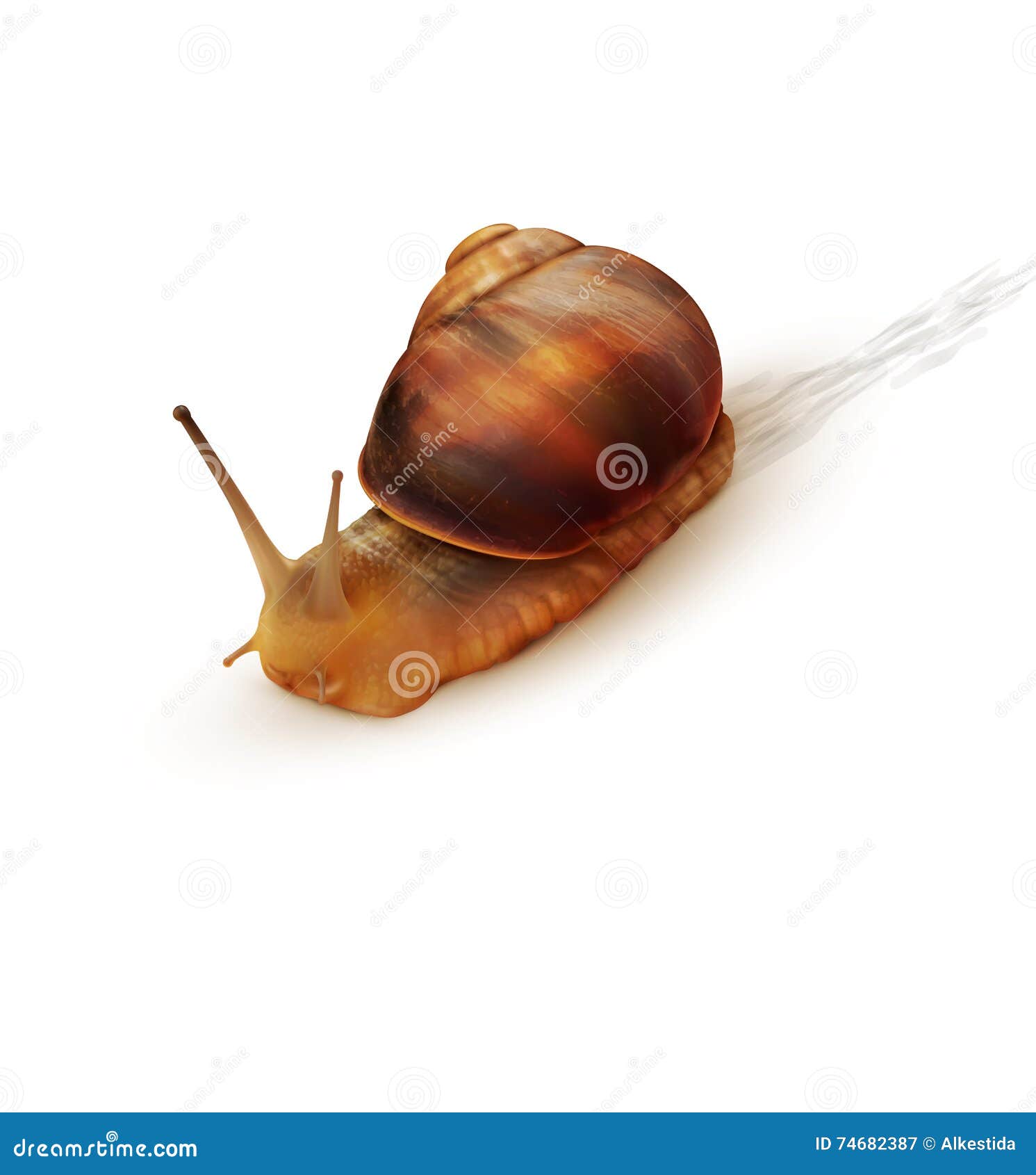 Snail Crawling, Side View, Hand Drawn Gravure Style, Vector Sketch ...