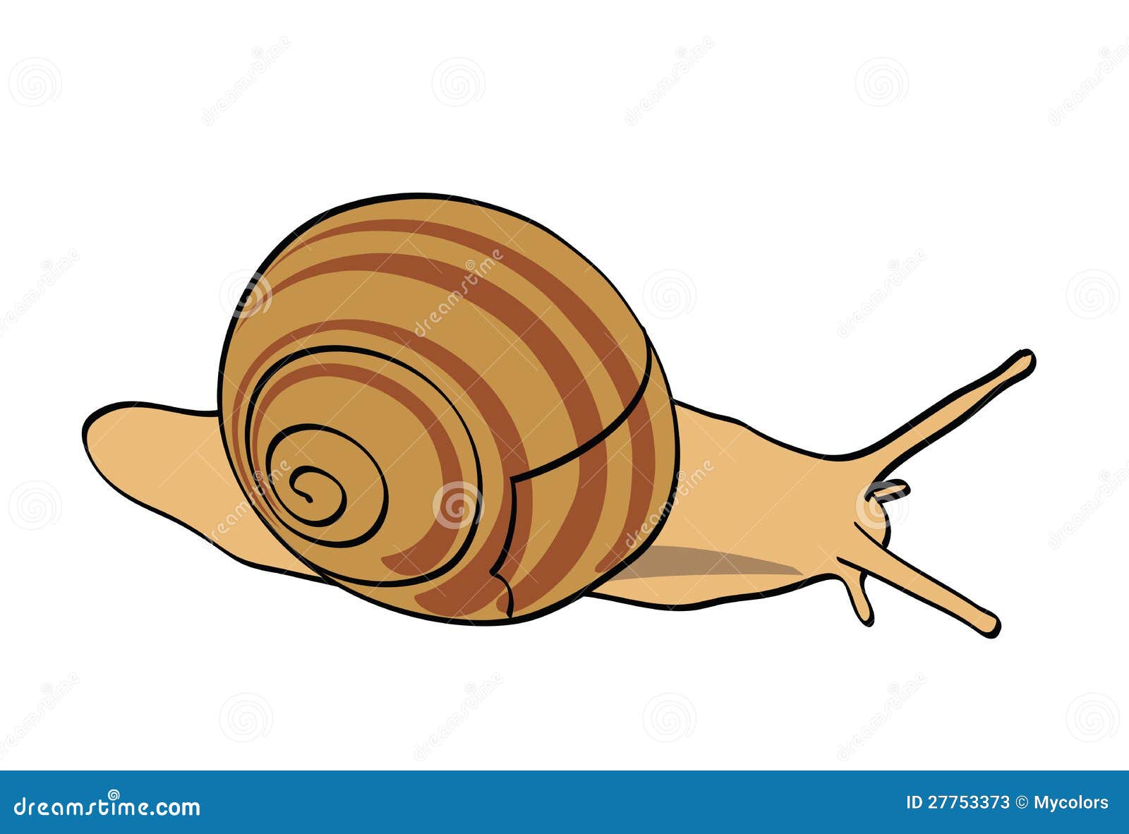 Vector snail - isolated stock vector. Illustration of slowspeed - 27753373