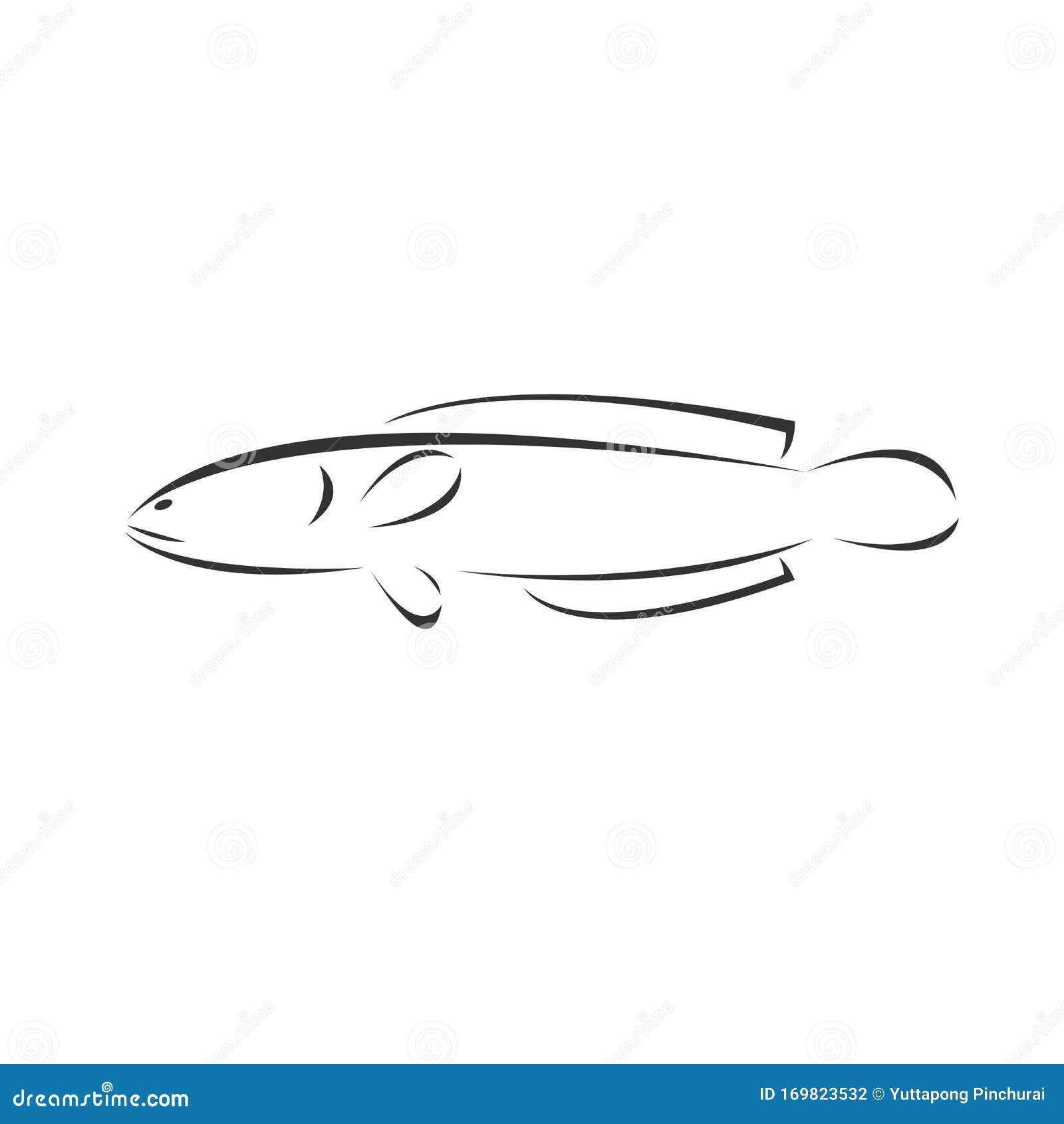 Giant Snakehead Fish Cartoon Vector | CartoonDealer.com #29888481