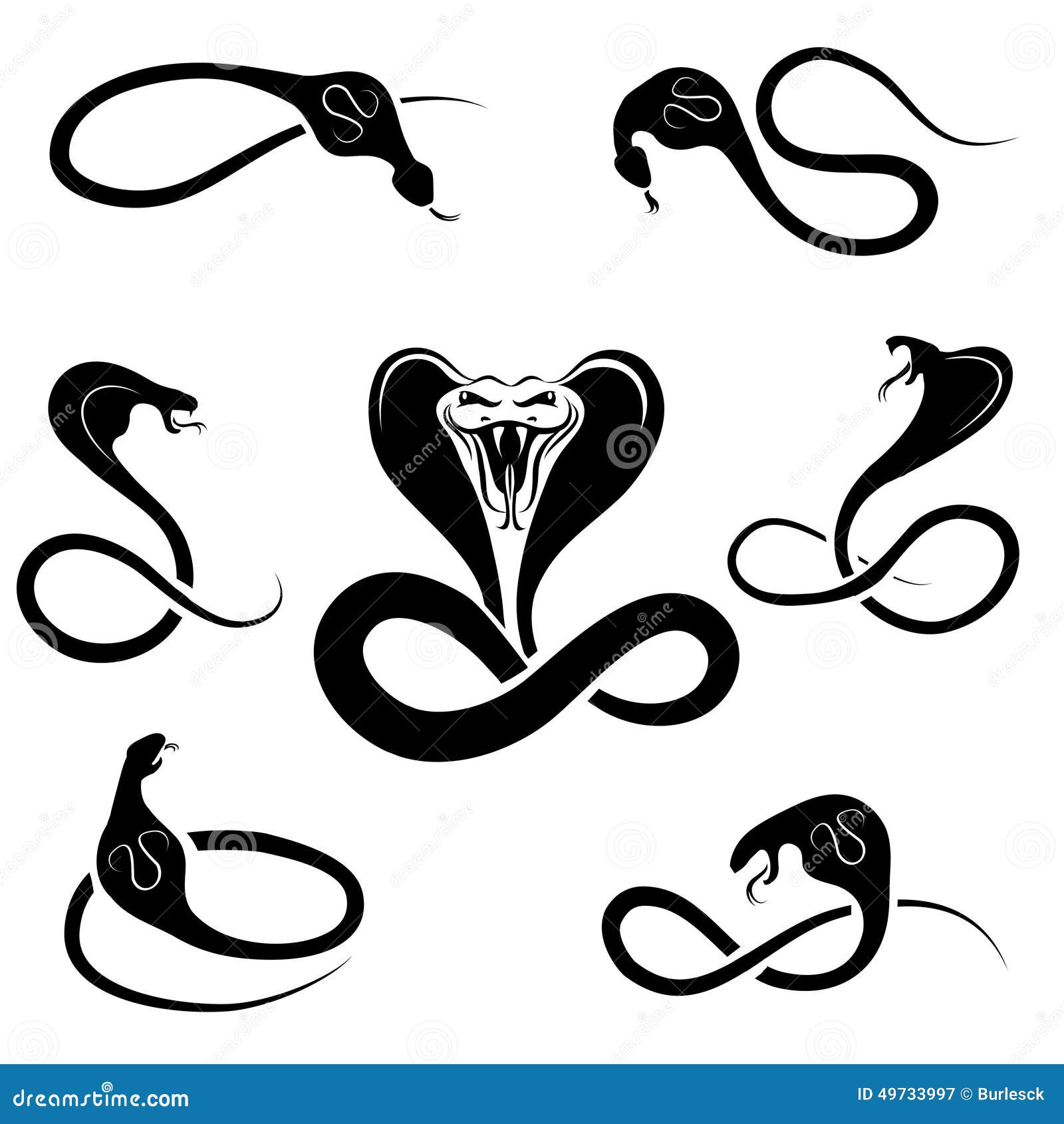 Vector Snakes Black Silhouettes | CartoonDealer.com #49733997