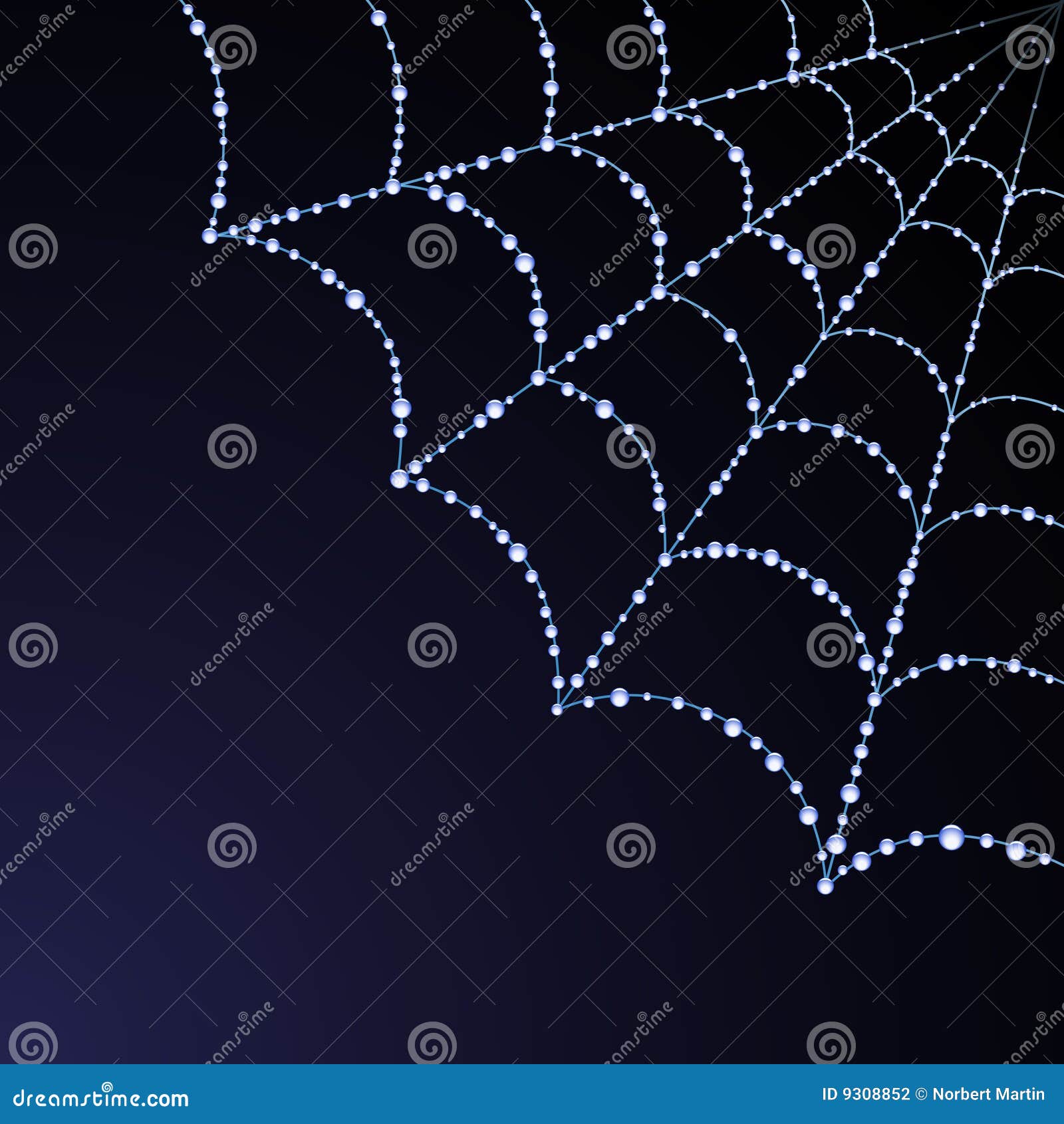 Vector Spider Web Illustration Stock Illustrations – 36,879 Vector ...