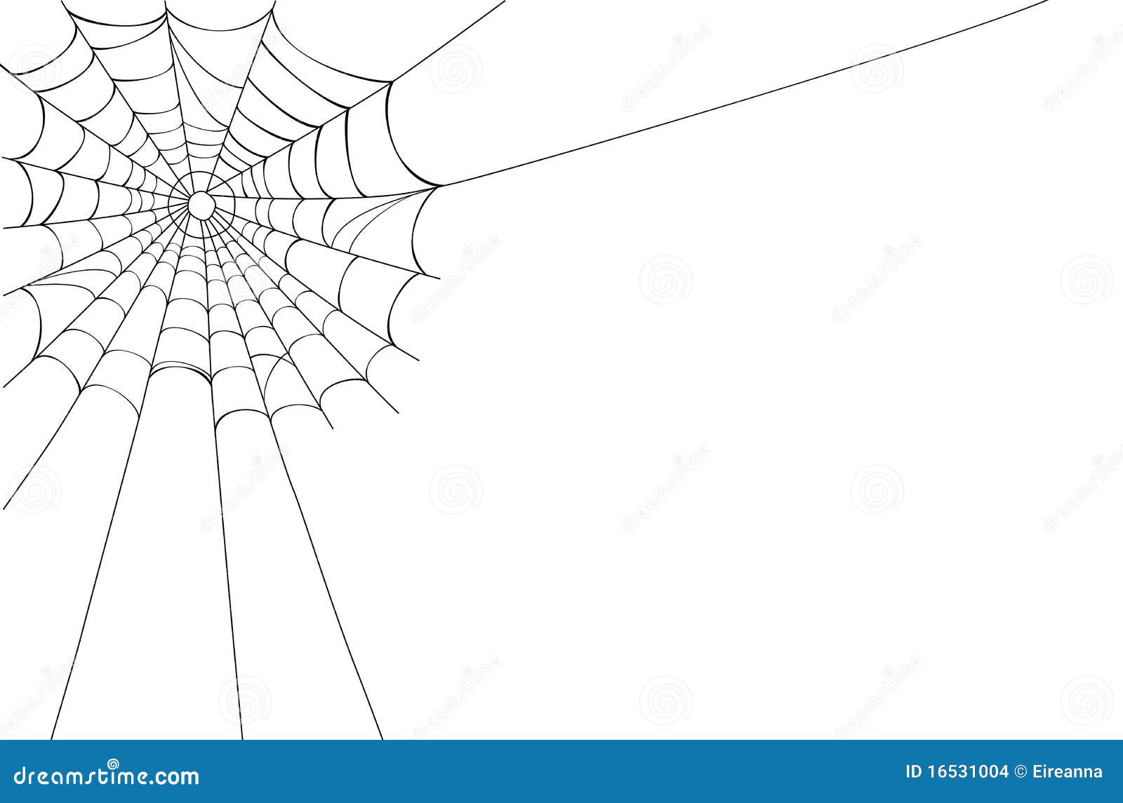 Vector Spider web on white stock vector. Illustration of white - 16531004