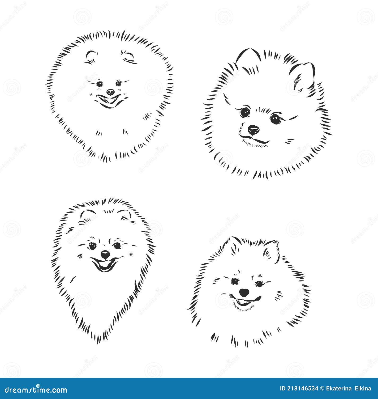 Vector Spitz Dog Sketch. Spitz Vector Sketch Stock Vector ...