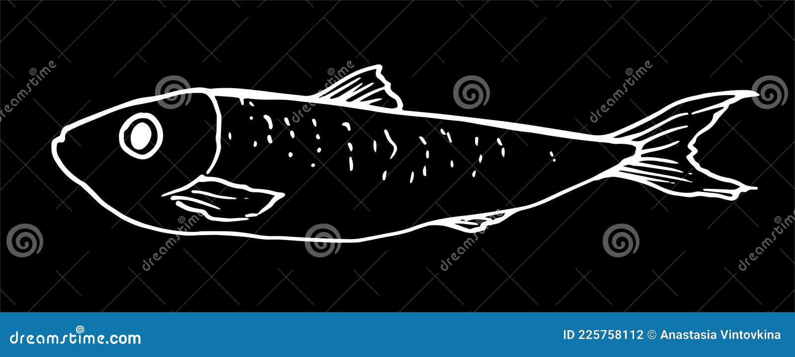 Vector Sprat. Sketch-style Small Sea Sardine Isolated Black Outline ...