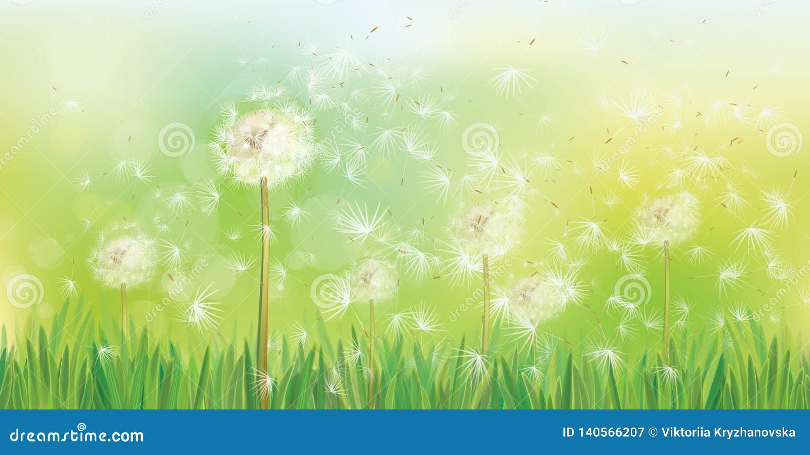 Vector Spring Background with White Dandelions. Stock Vector ...