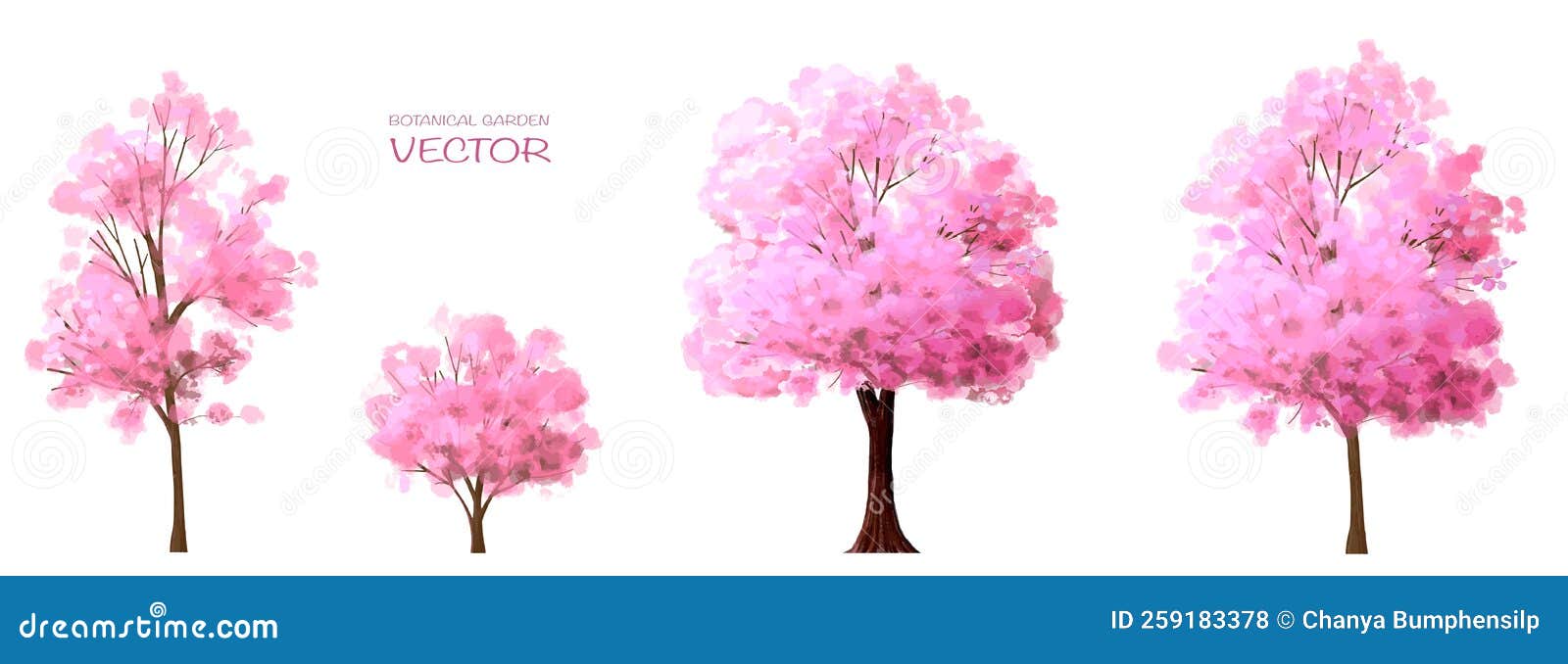 Vector Spring Flower Side View Isolated on White Background for ...