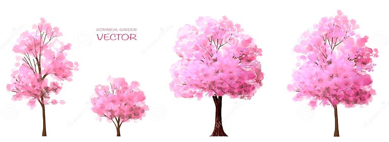 Vector Spring Flower Side View Isolated on White Background for ...