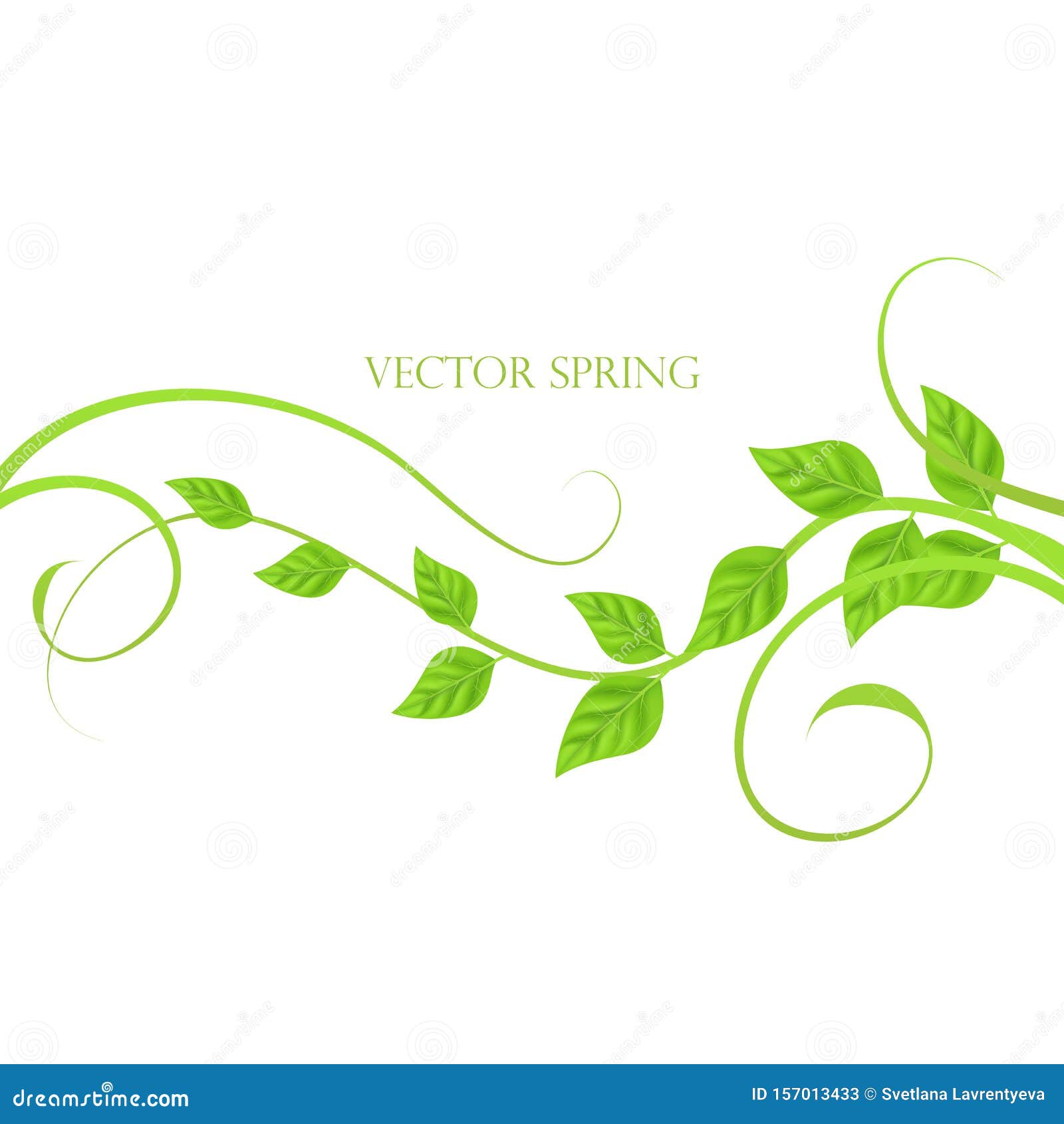 Vector Spring, Leaf Sprig. Green Young Leaves on a White Background ...