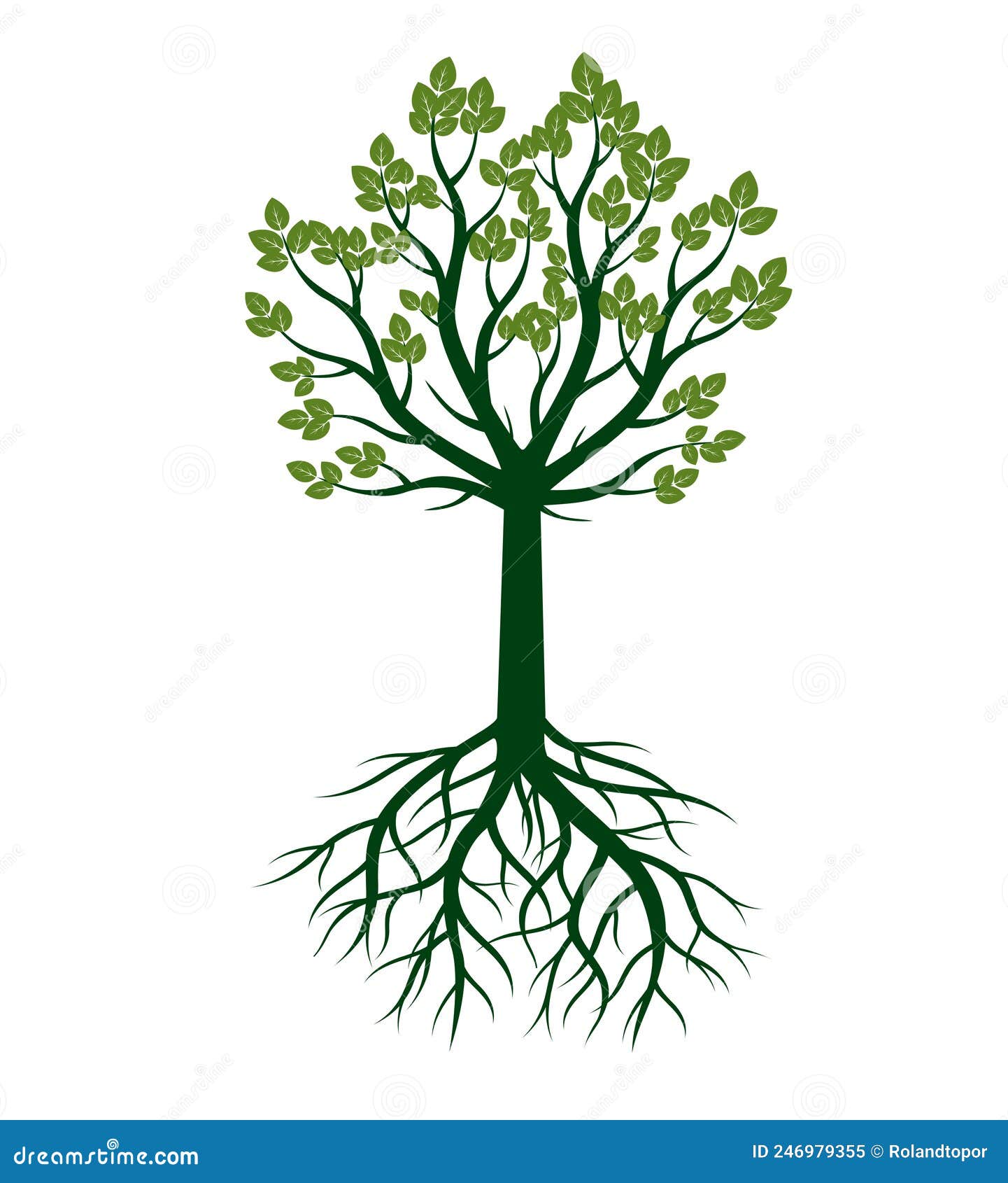 Vector Spring Tree. Outline Illustration Stock Vector - Illustration of ...