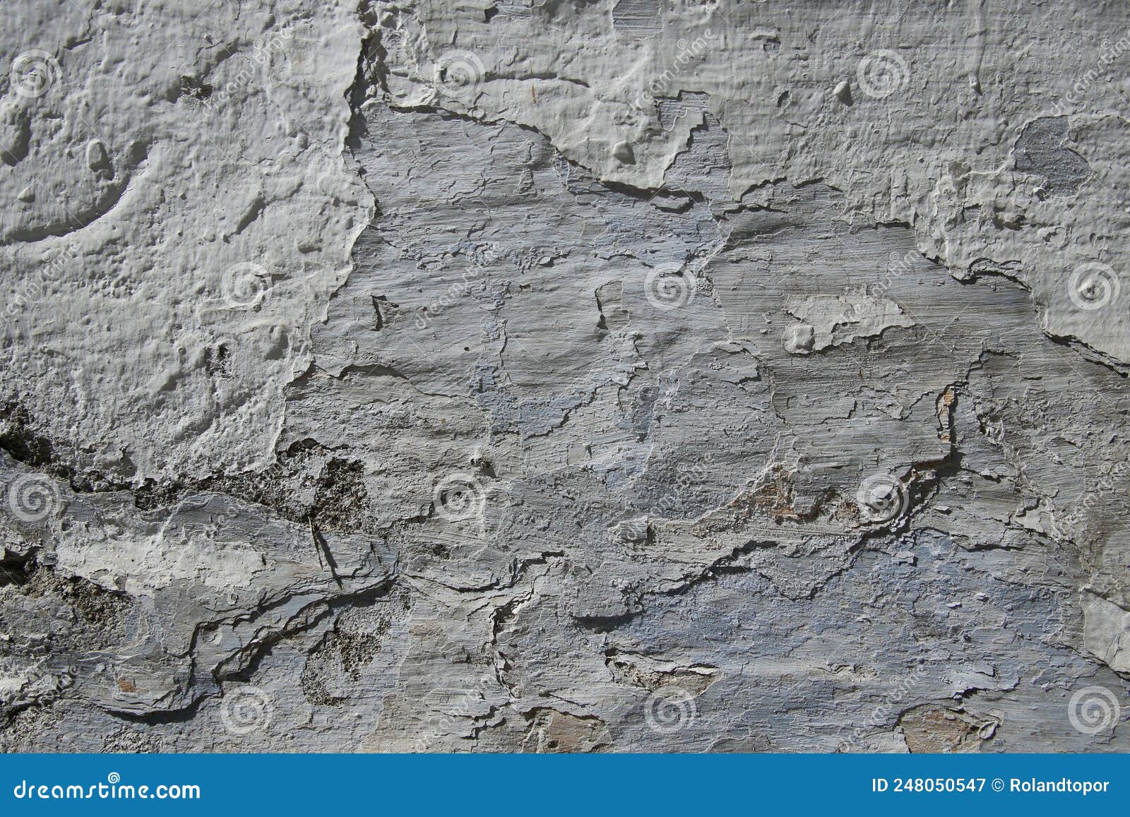 Vector Spring Tree. Outline Illustration Stock Image - Image of white ...