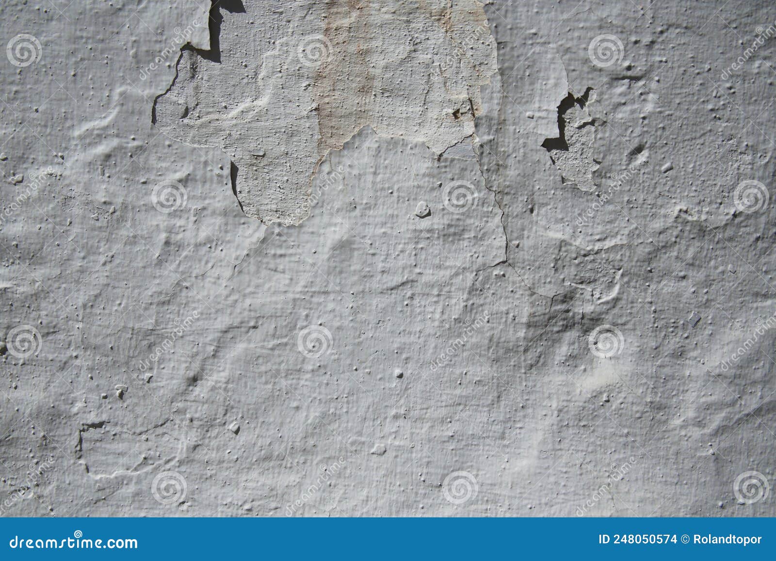 Vector Spring Tree. Outline Illustration Stock Photo - Image of ...