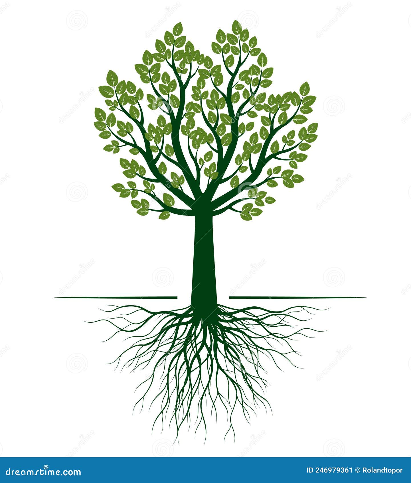 Vector Spring Tree. Outline Illustration Stock Vector - Illustration of ...